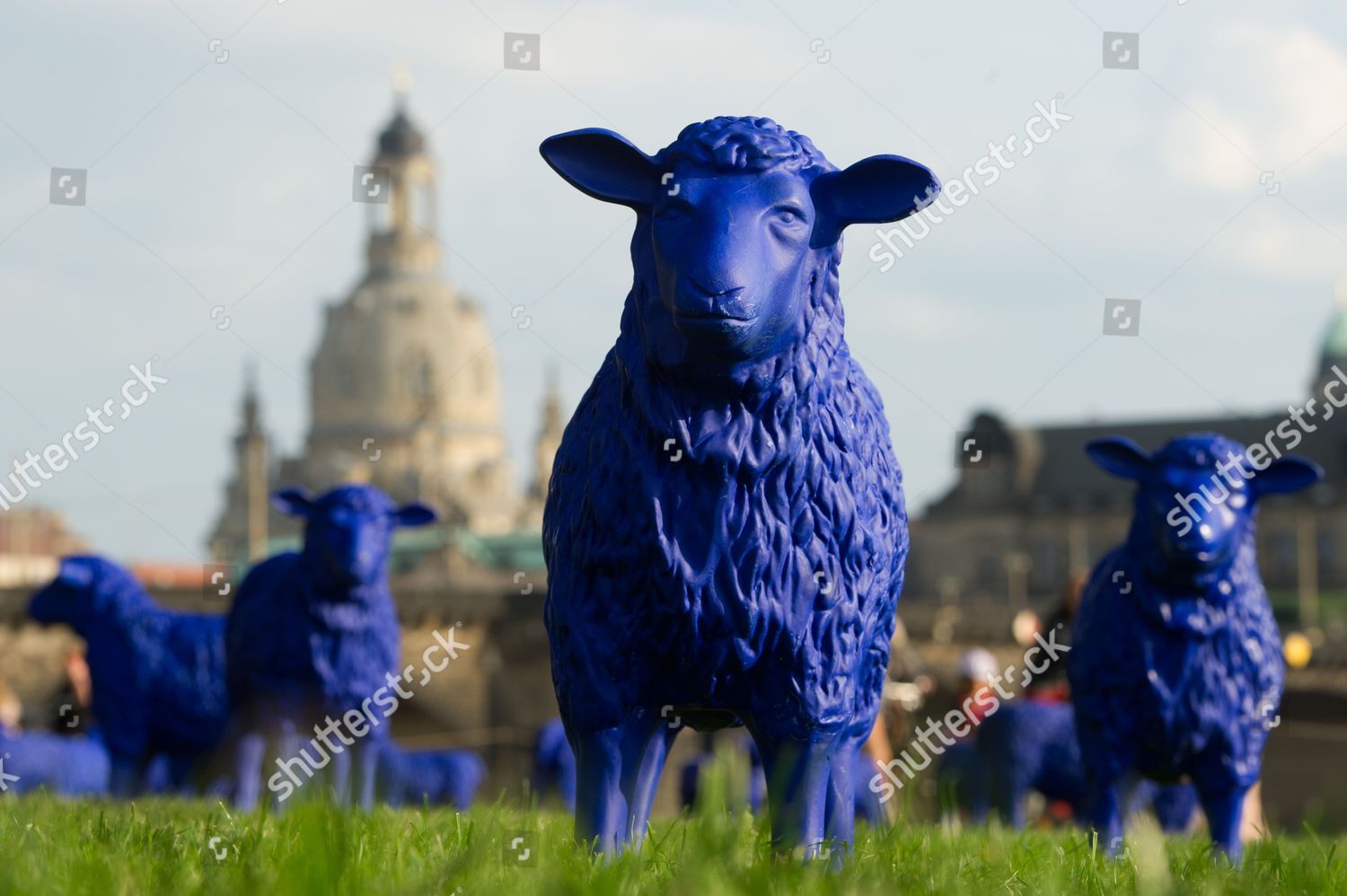 Blue Sheep Art Project By German Editorial Stock Photo - Stock Image ...