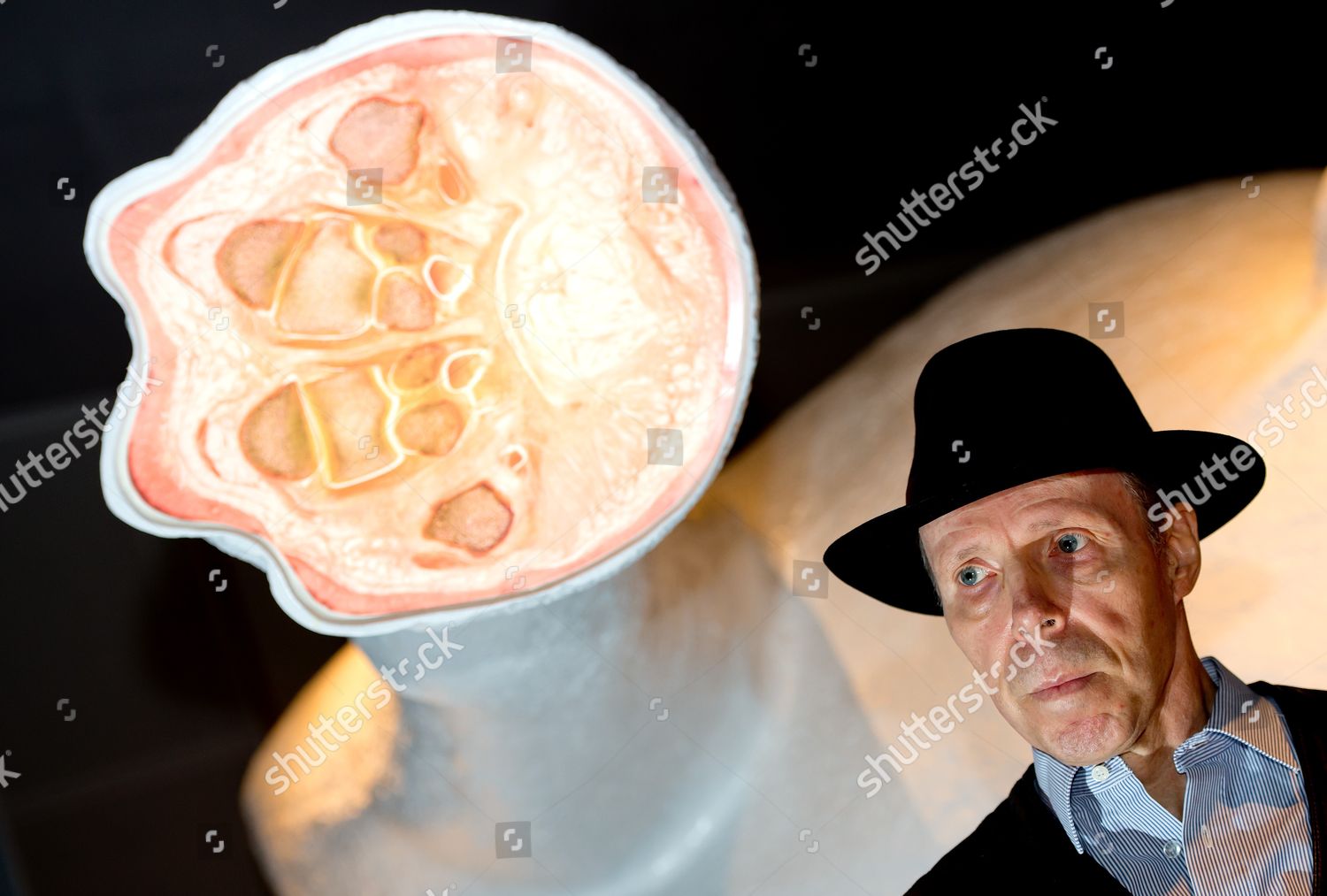 INVENTOR PLASTINATION GUNTHER VON HAGENS POSES Editorial Stock Photo ...