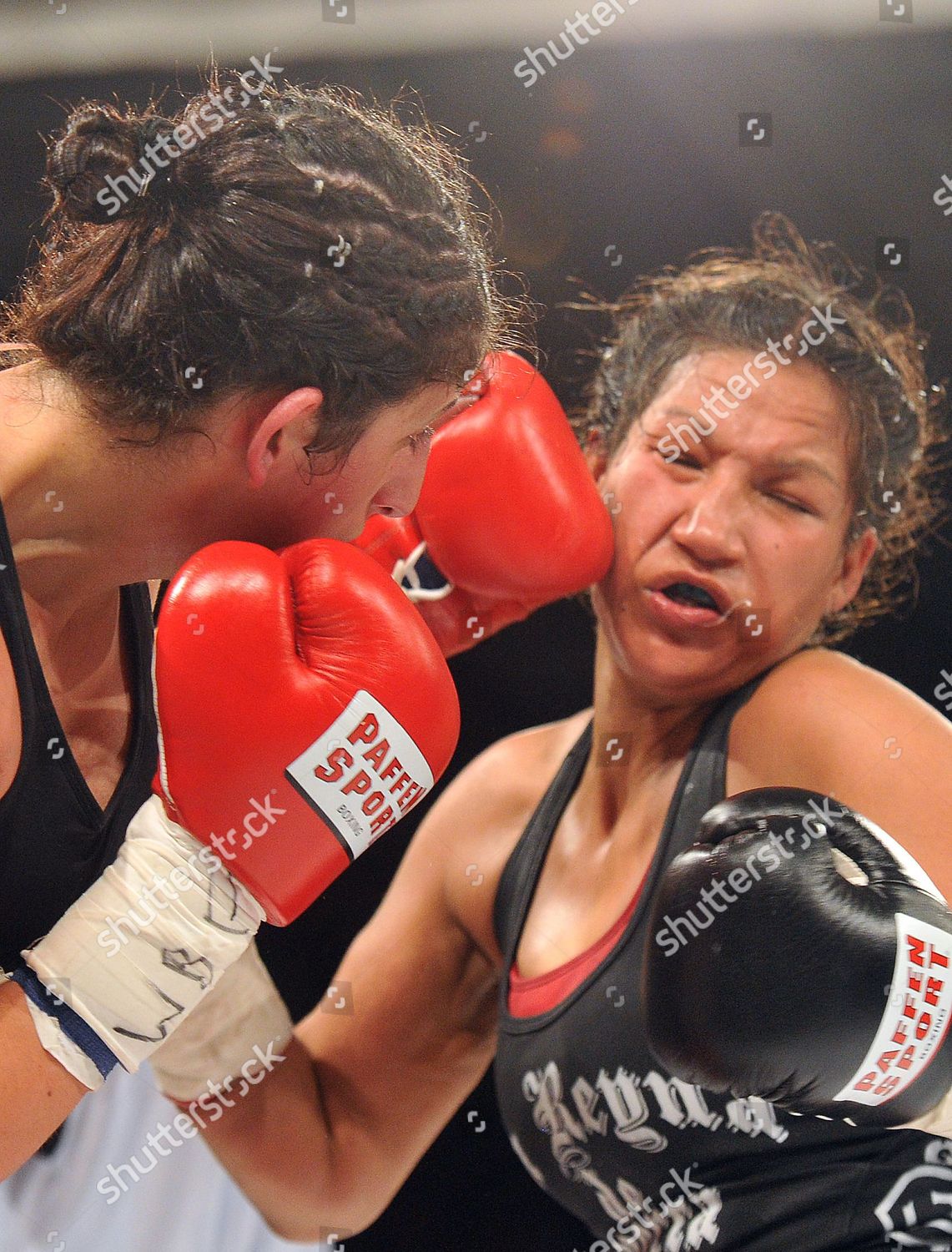 Rola Elhalabi Professional German Boxer Lebanese Editorial Stock Photo ...