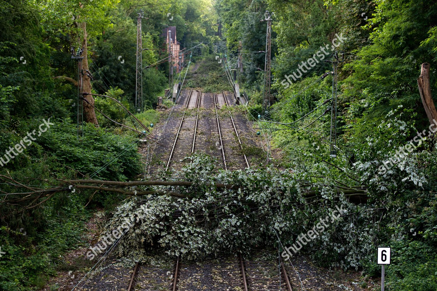Uprooted Trees Block Train Tracks Essen Editorial Stock Photo - Stock ...