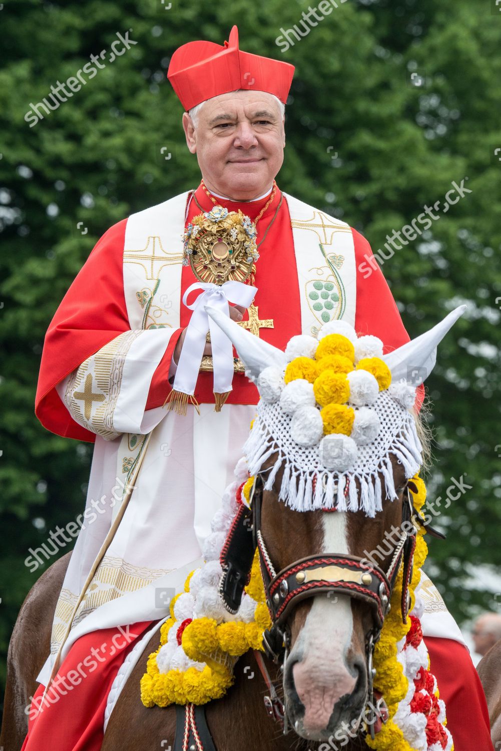 Cardinal Gerhard Ludwig Mueller Participates Pentecost Editorial Stock ...