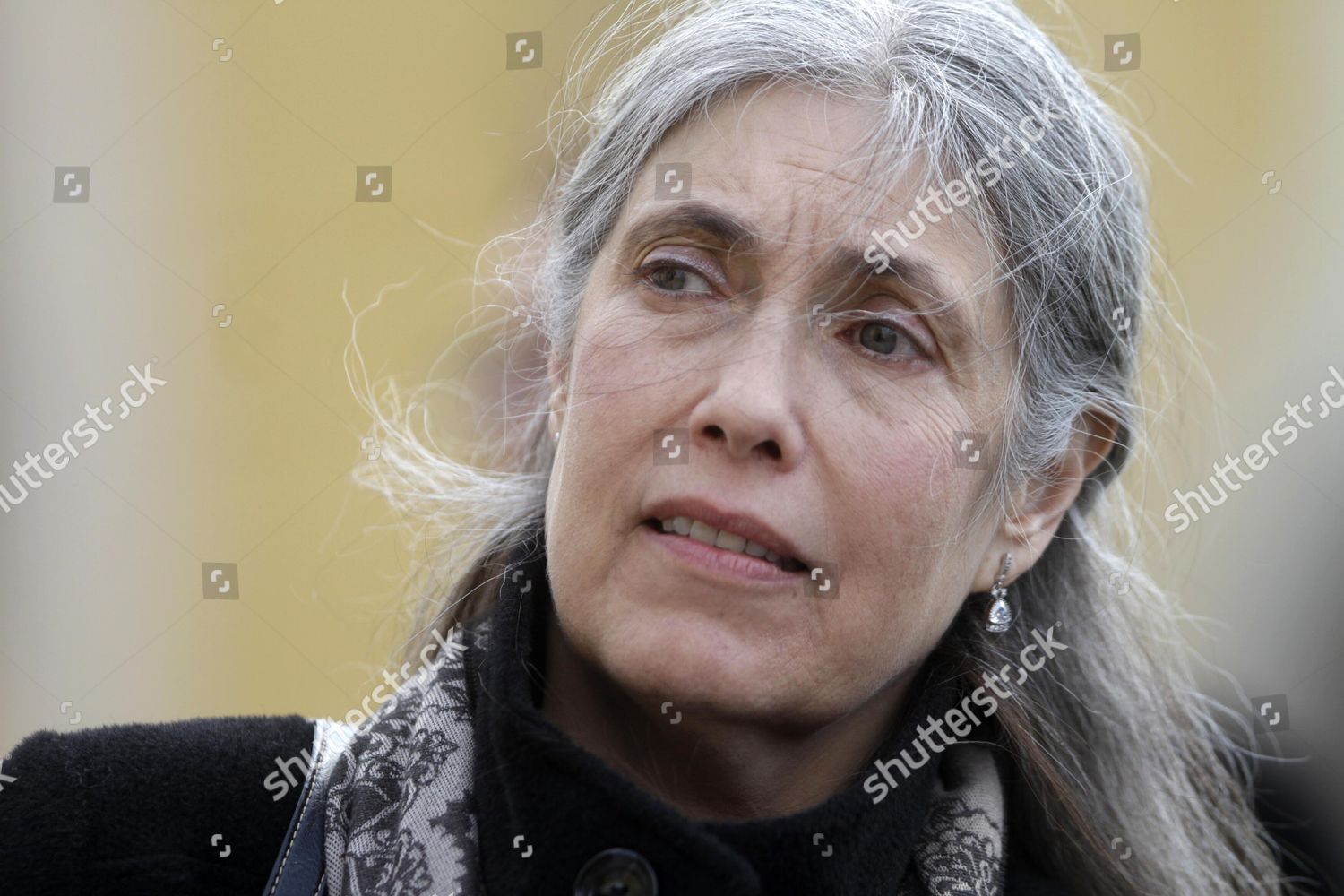 Daughter Us Artist Mark Rothko Kate Editorial Stock Photo - Stock Image ...