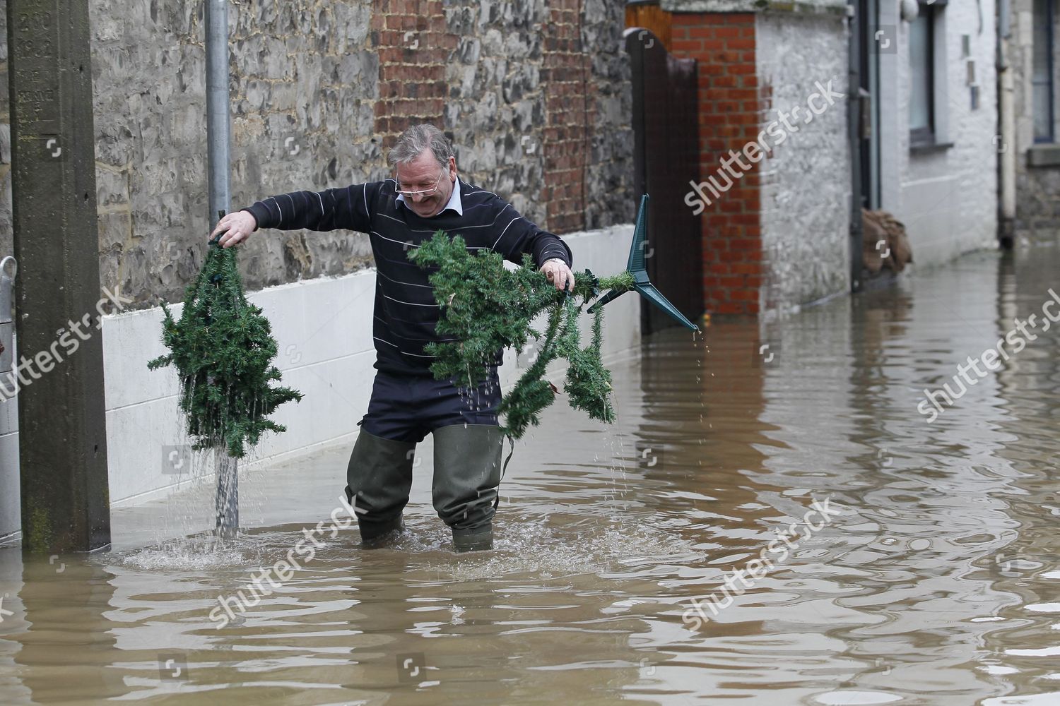 Carries Sodden Christmas Tree Through Floods Editorial Stock Photo ...