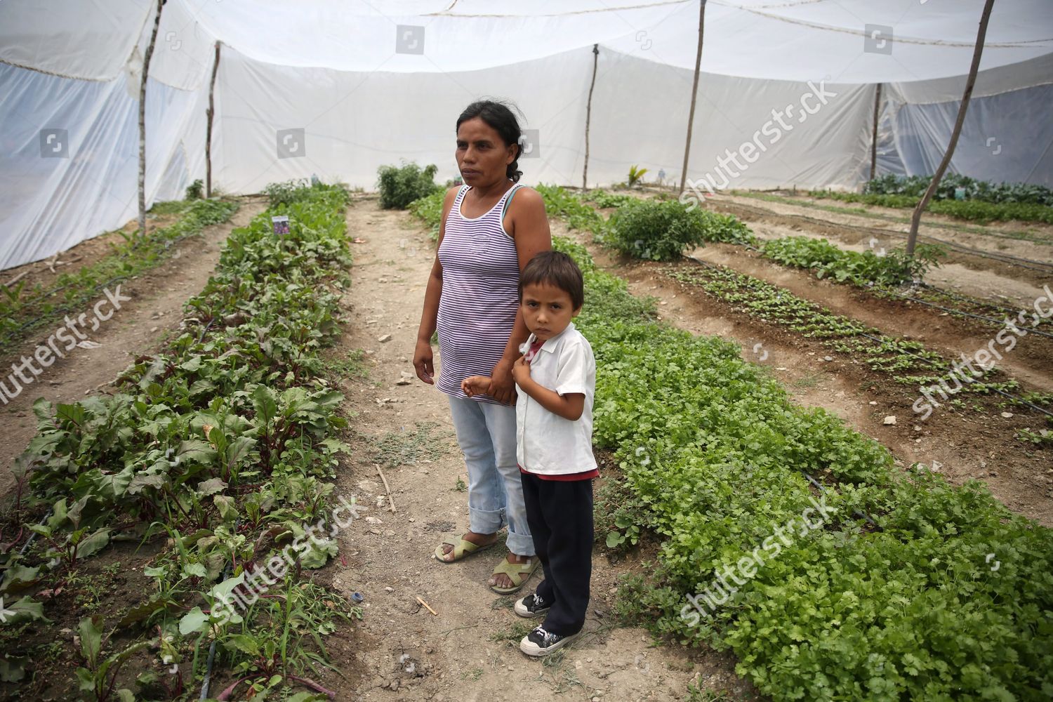 Guatemalan Citizen Veronica Giron L Her Editorial Stock Photo - Stock ...