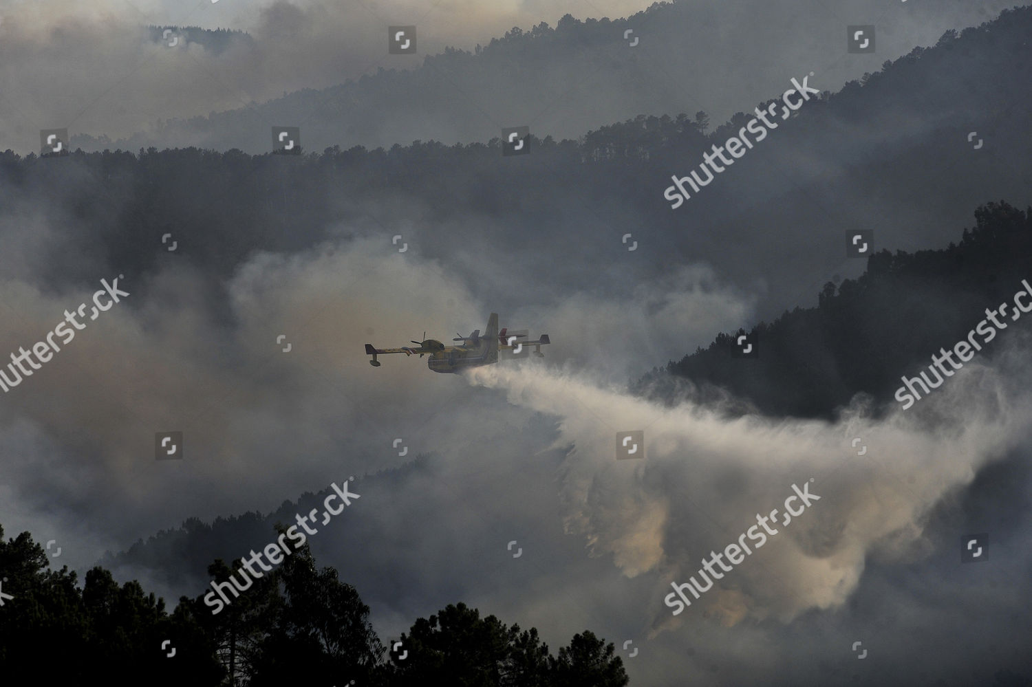 Firefighting Aircraft Releases Water Try Extinguish Editorial Stock ...
