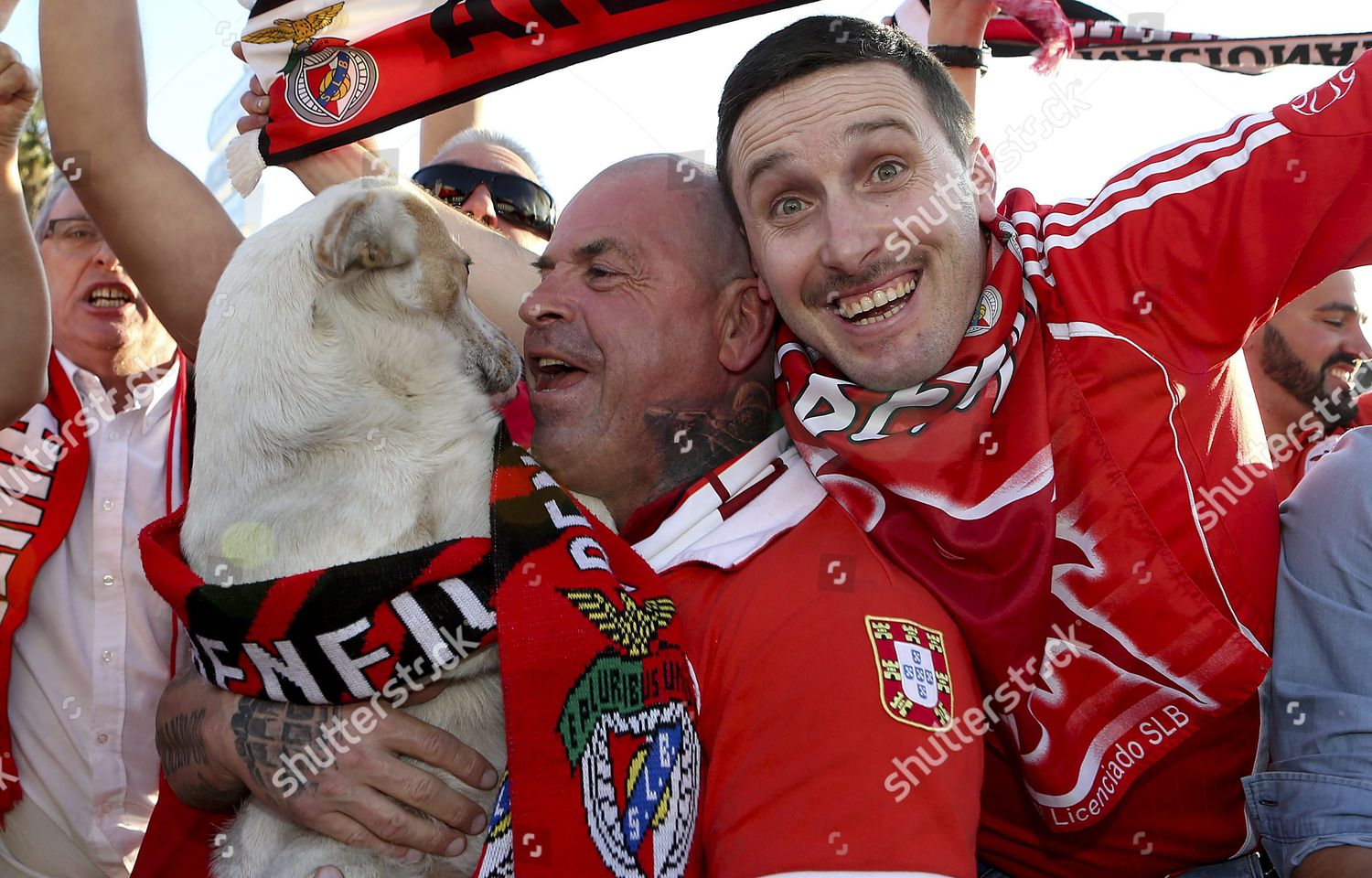 Fans Celebrate Faro Downtown Their Teams Editorial Stock Photo - Stock ...