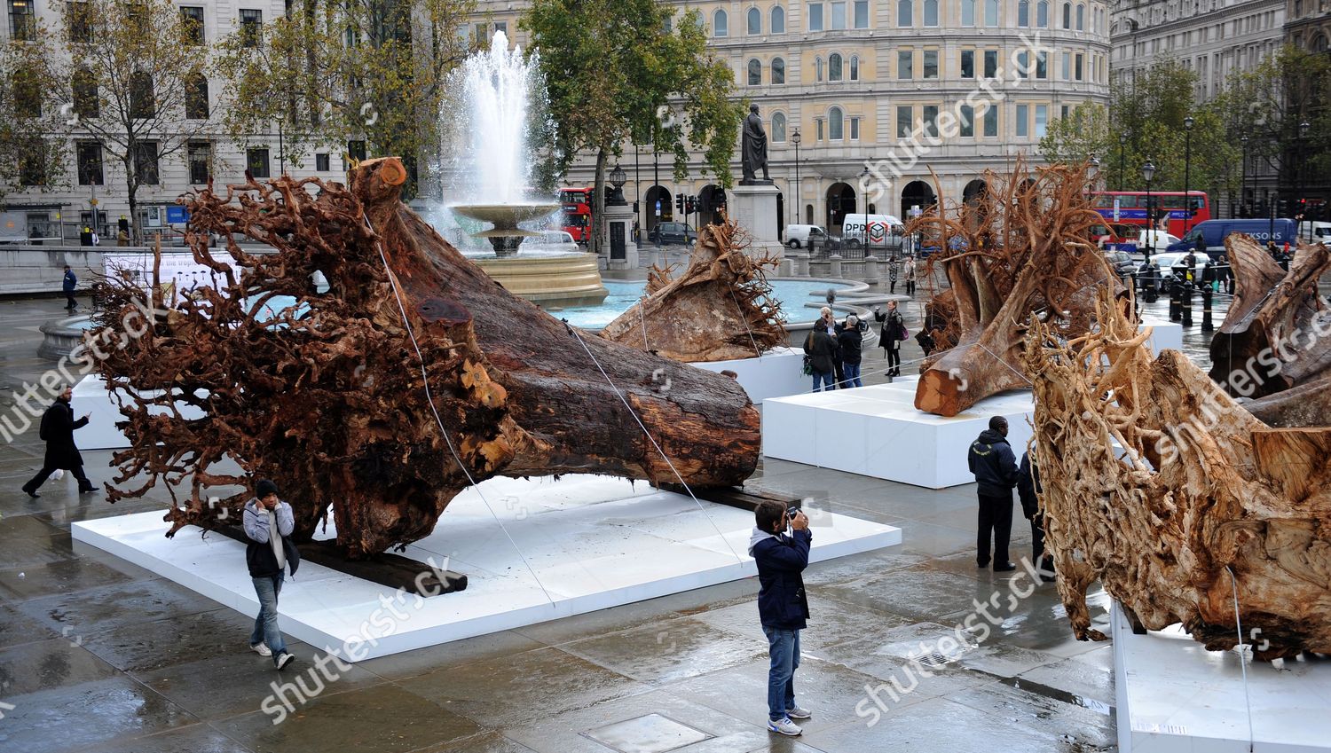 Huge Tree Stumps Lie Trafalgar Square Editorial Stock Photo - Stock ...