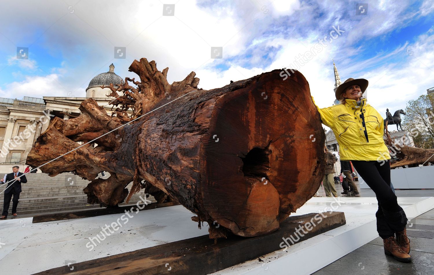Angela Palmer Her Huge Denya Heartwood Editorial Stock Photo - Stock ...