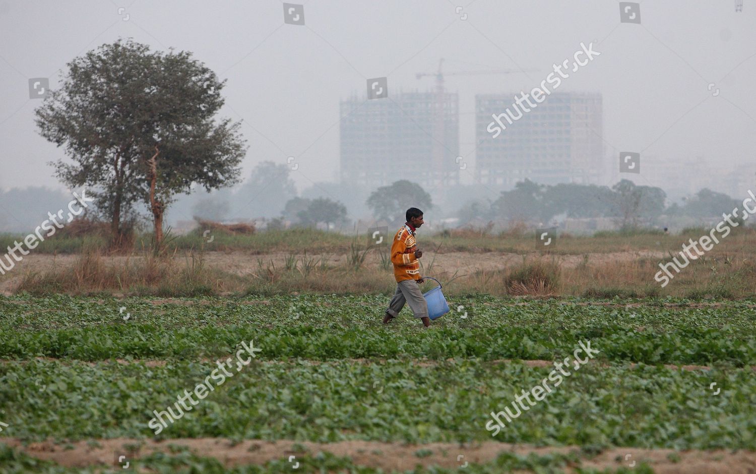 Farmer Walks His Field Construction Work Editorial Stock Photo - Stock ...
