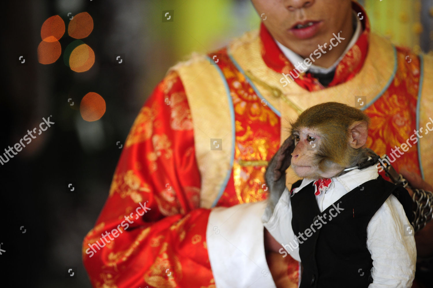 Monkey Manager Editorial Stock Photo - Stock Image | Shutterstock