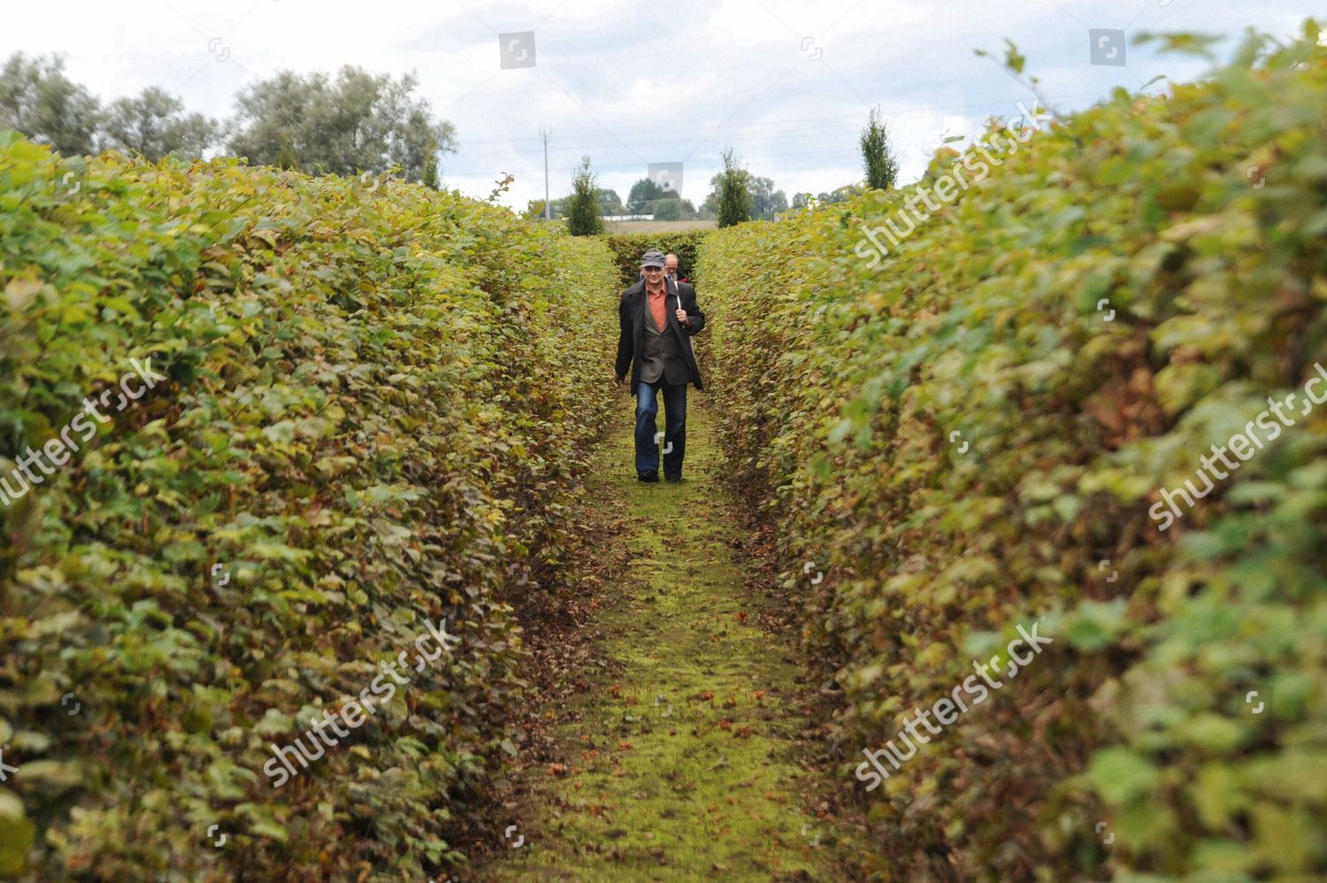 Man Walks Between Two Meters High Editorial Stock Photo - Stock Image ...