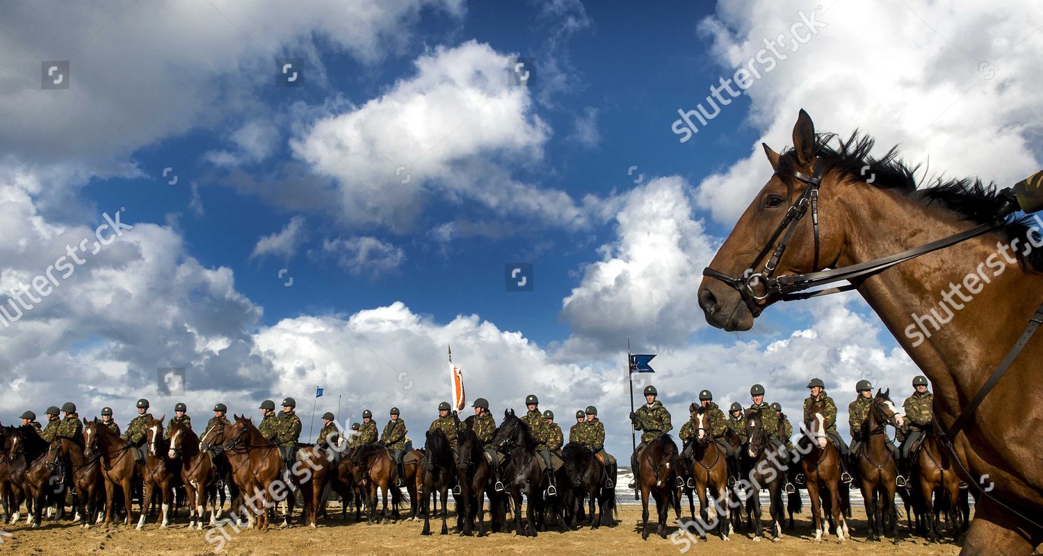 Cavalry Horses Their Riders Line Members Editorial Stock Photo - Stock ...