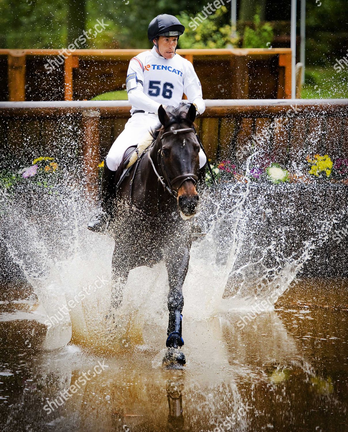 German Rider Dirk Schrade On Edino Editorial Stock Photo - Stock Image ...