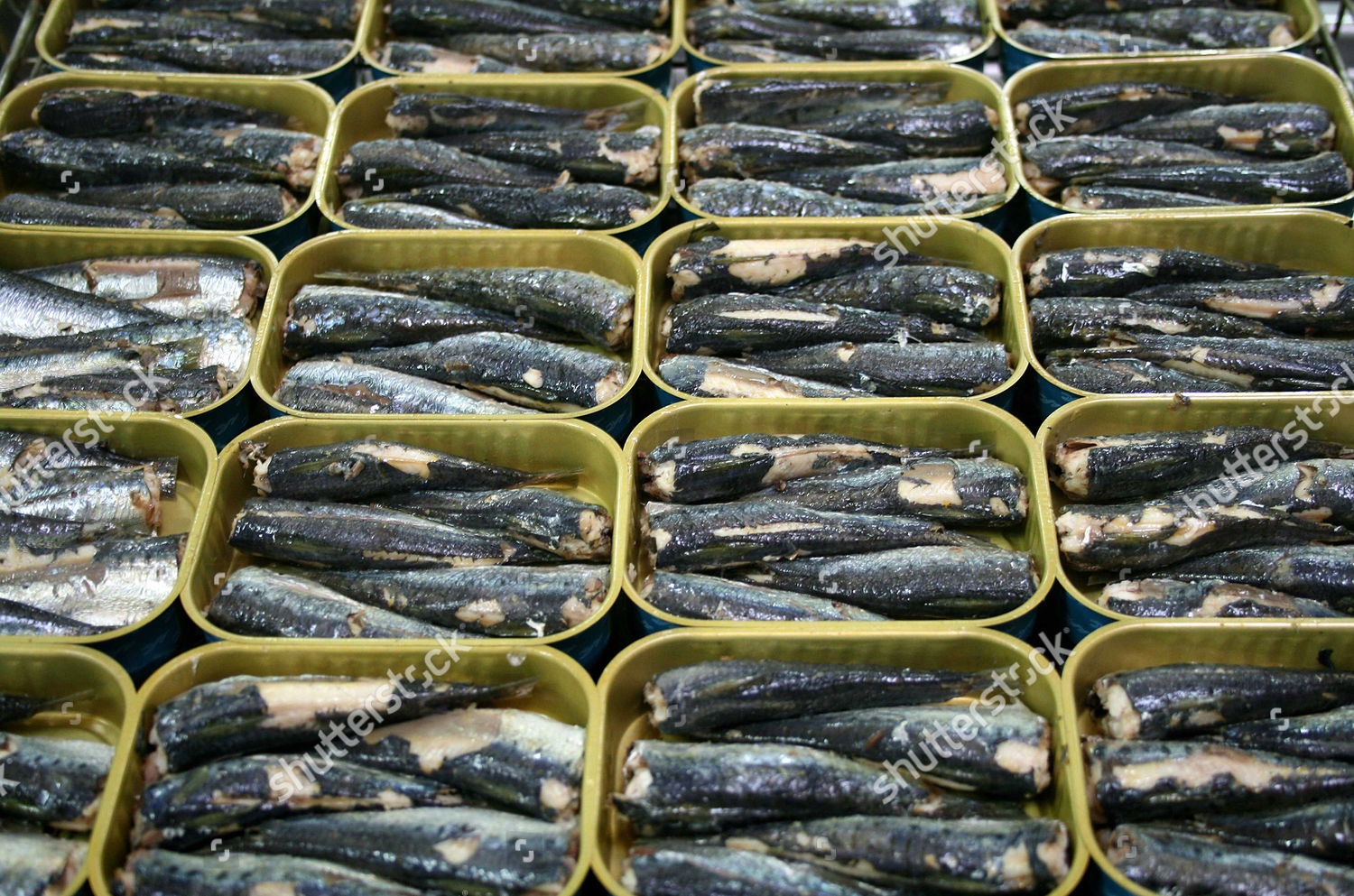 Canning Factory Breton Fish Company Where Editorial Stock Photo - Stock ...