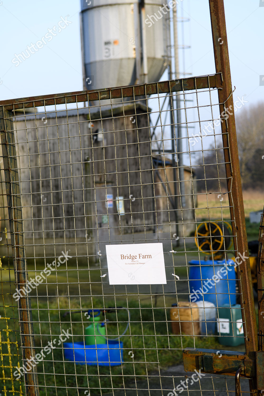 23000 Poultry Set Be Culled Bridge Editorial Stock Photo - Stock Image ...