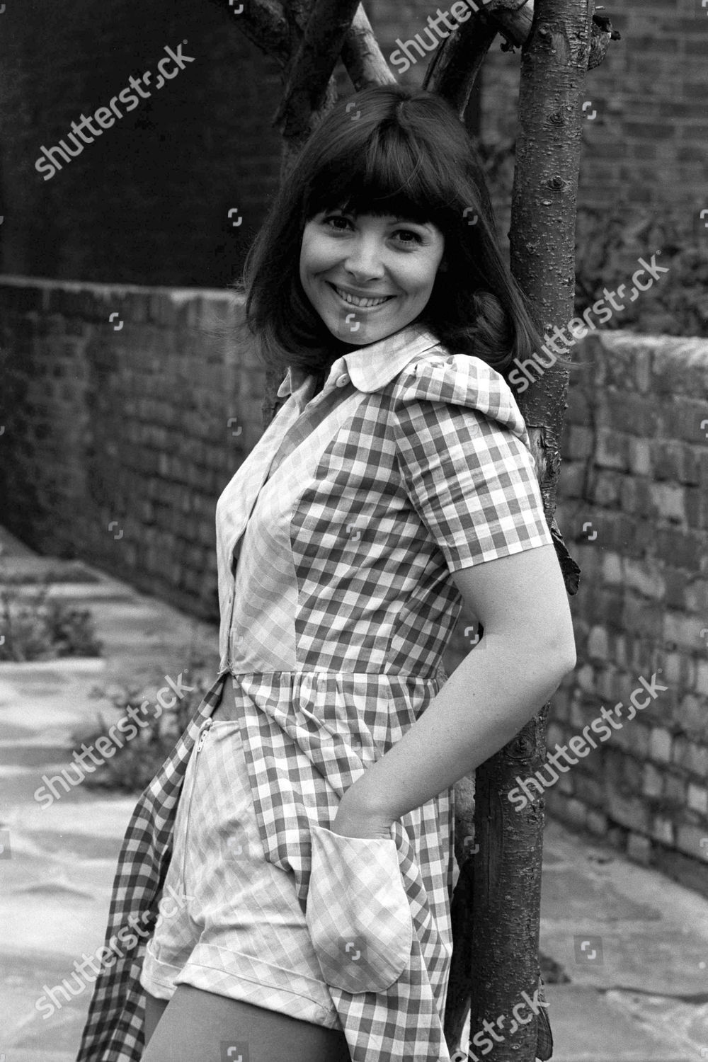 Diane Keen Editorial Stock Photo - Stock Image | Shutterstock