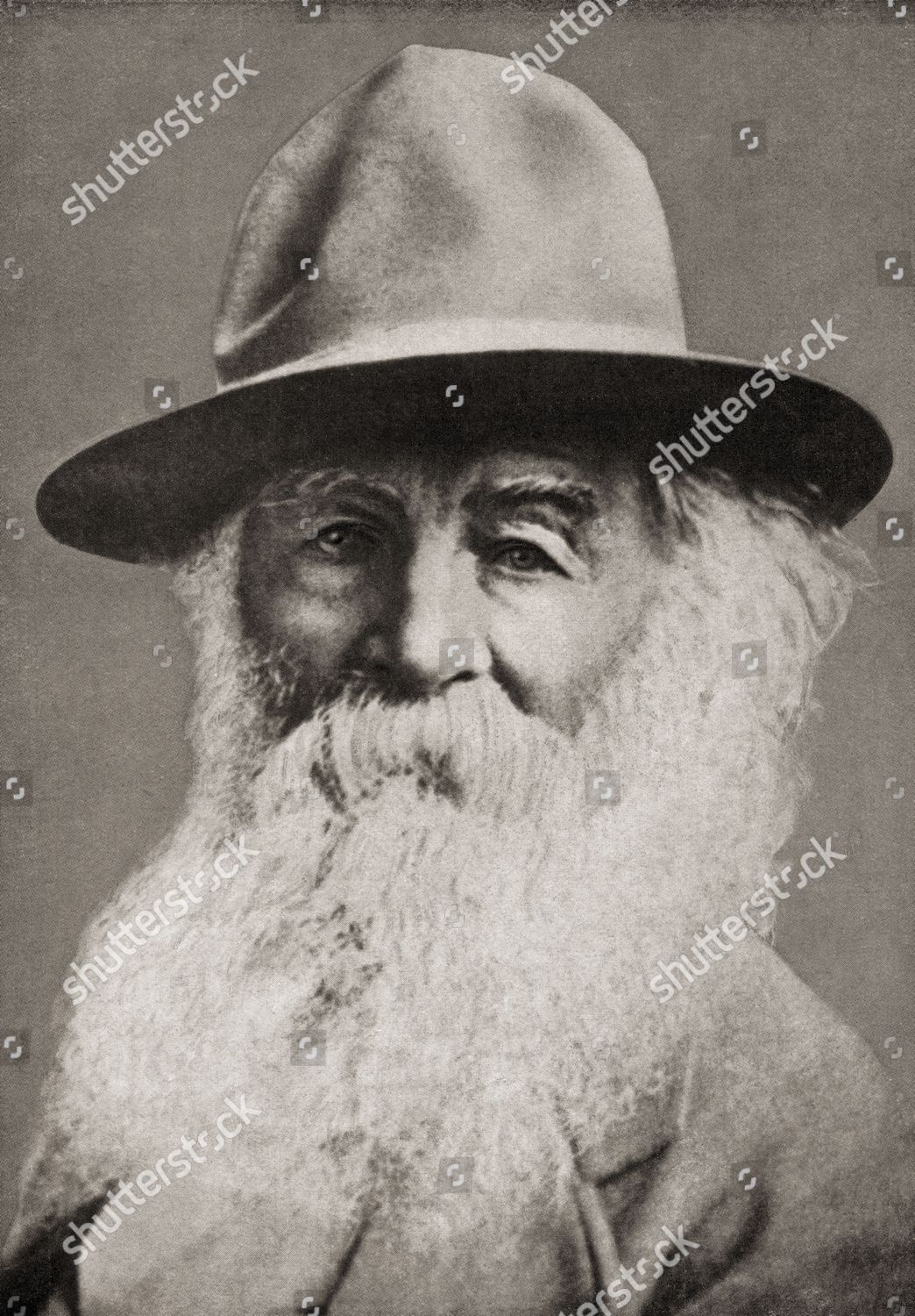 Walter Walt Whitman 1819 1892 American Editorial Stock Photo - Stock ...