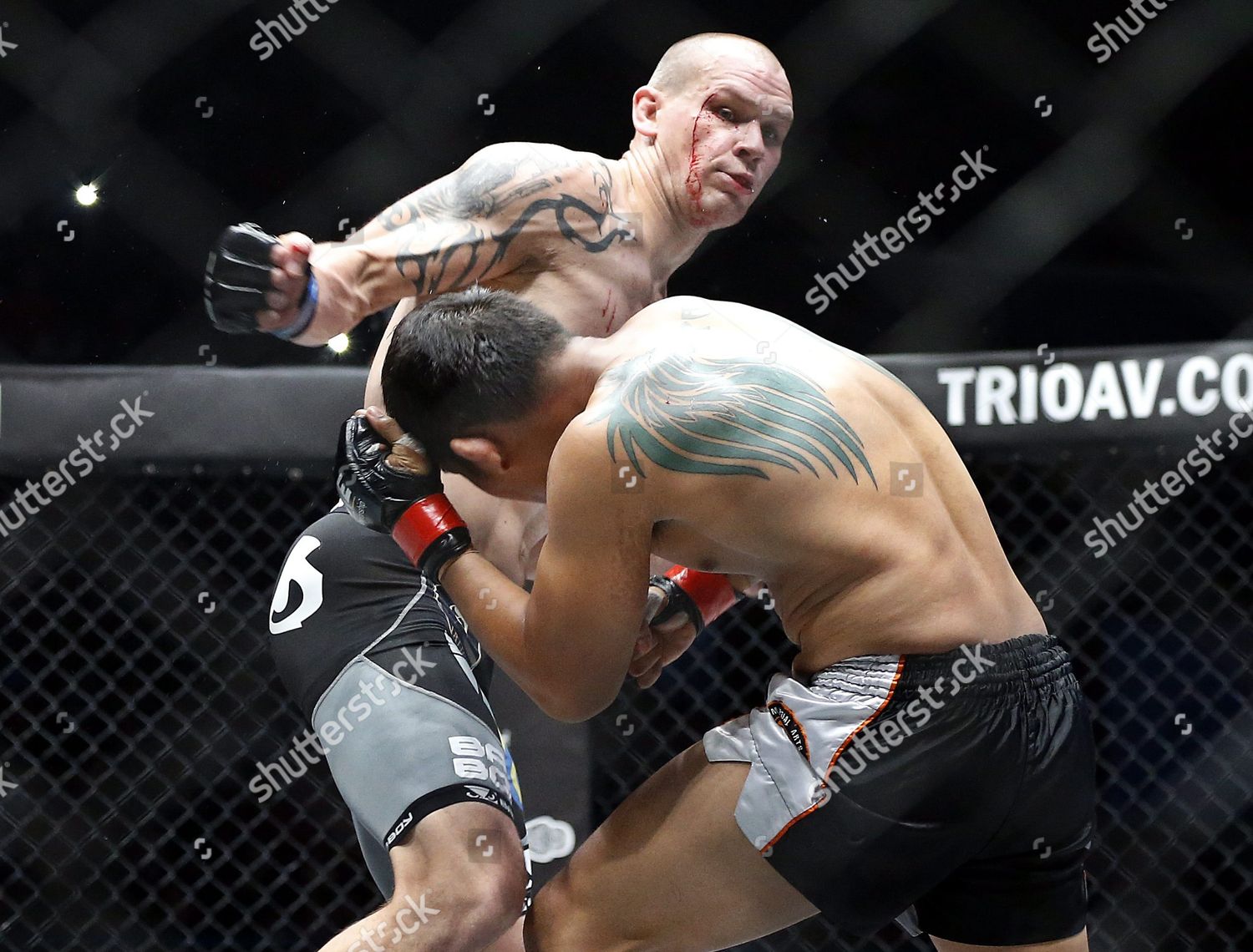 Michael Pasternak L Poland Fights Aung Editorial Stock Photo - Stock Image | Shutterstock