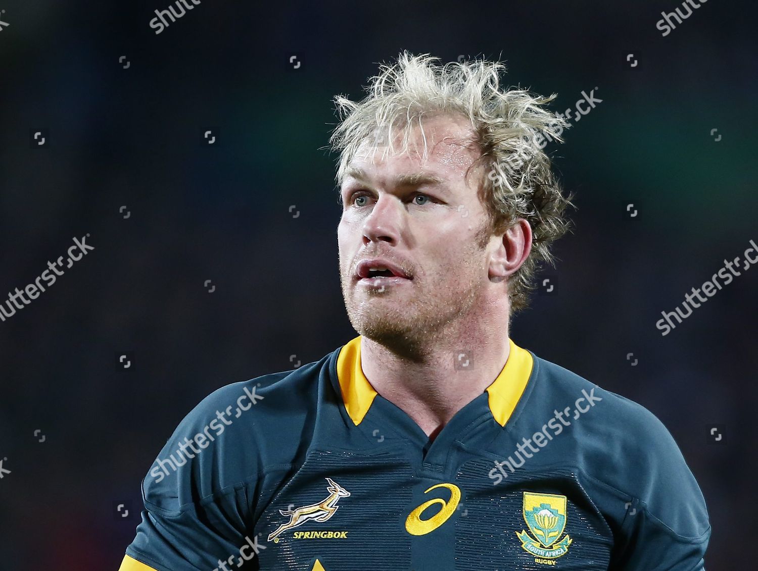 Schalk Burger Captain Springboks During Rugby Editorial Stock Photo ...