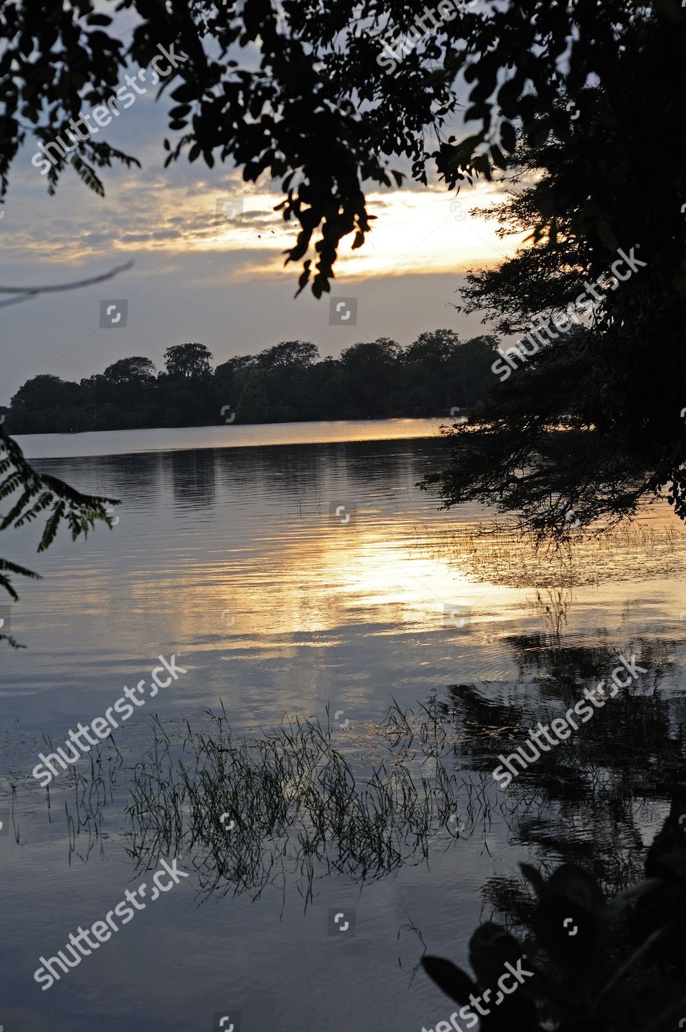 Anuradhapura Tissa Wewa Huge Tank Water Editorial Stock Photo - Stock ...