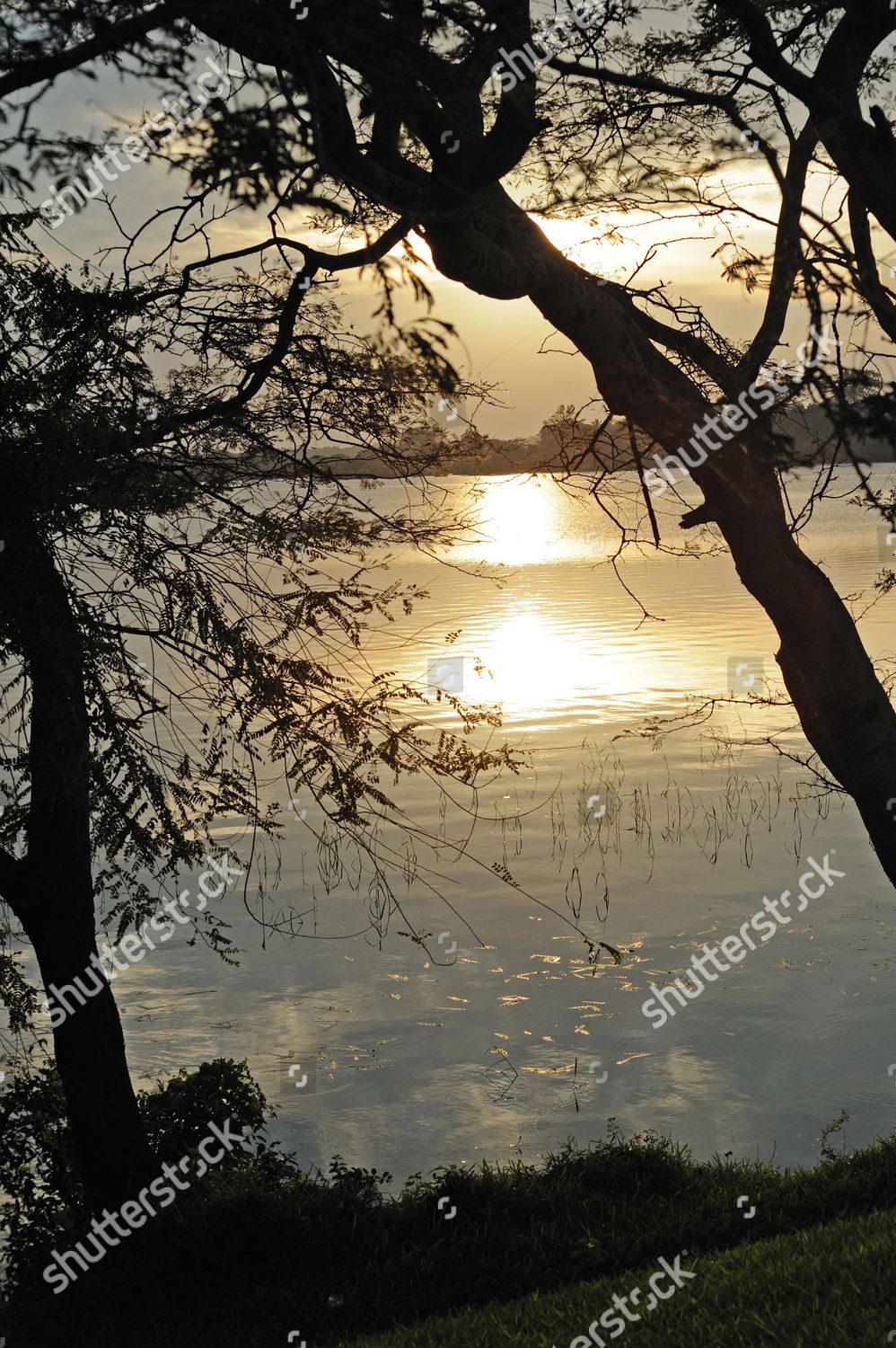 Anuradhapura Tissa Wewa Huge Tank Water Editorial Stock Photo - Stock ...
