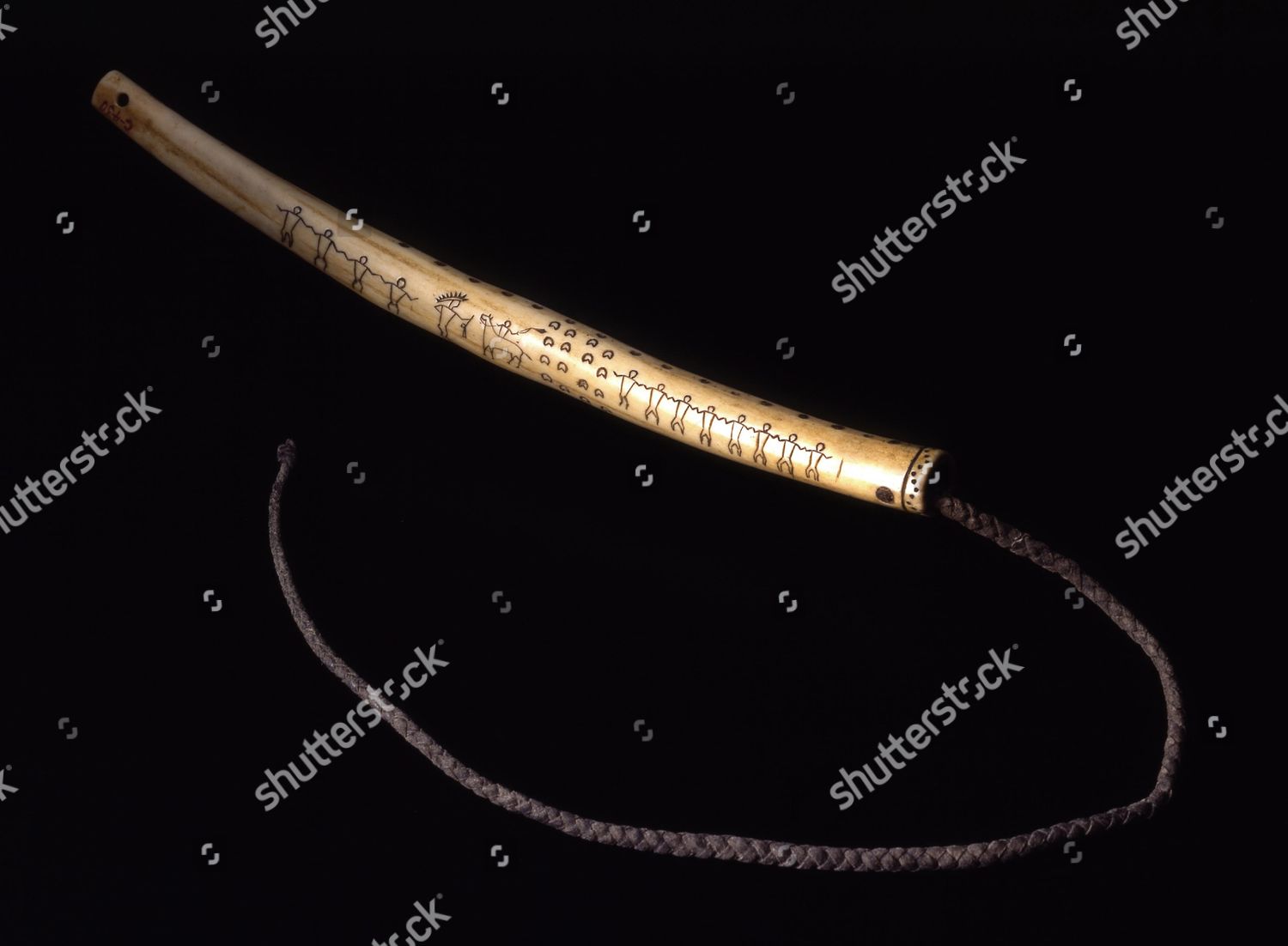 Osage Quirt Whip Bone Leather C Editorial Stock Photo - Stock Image ...