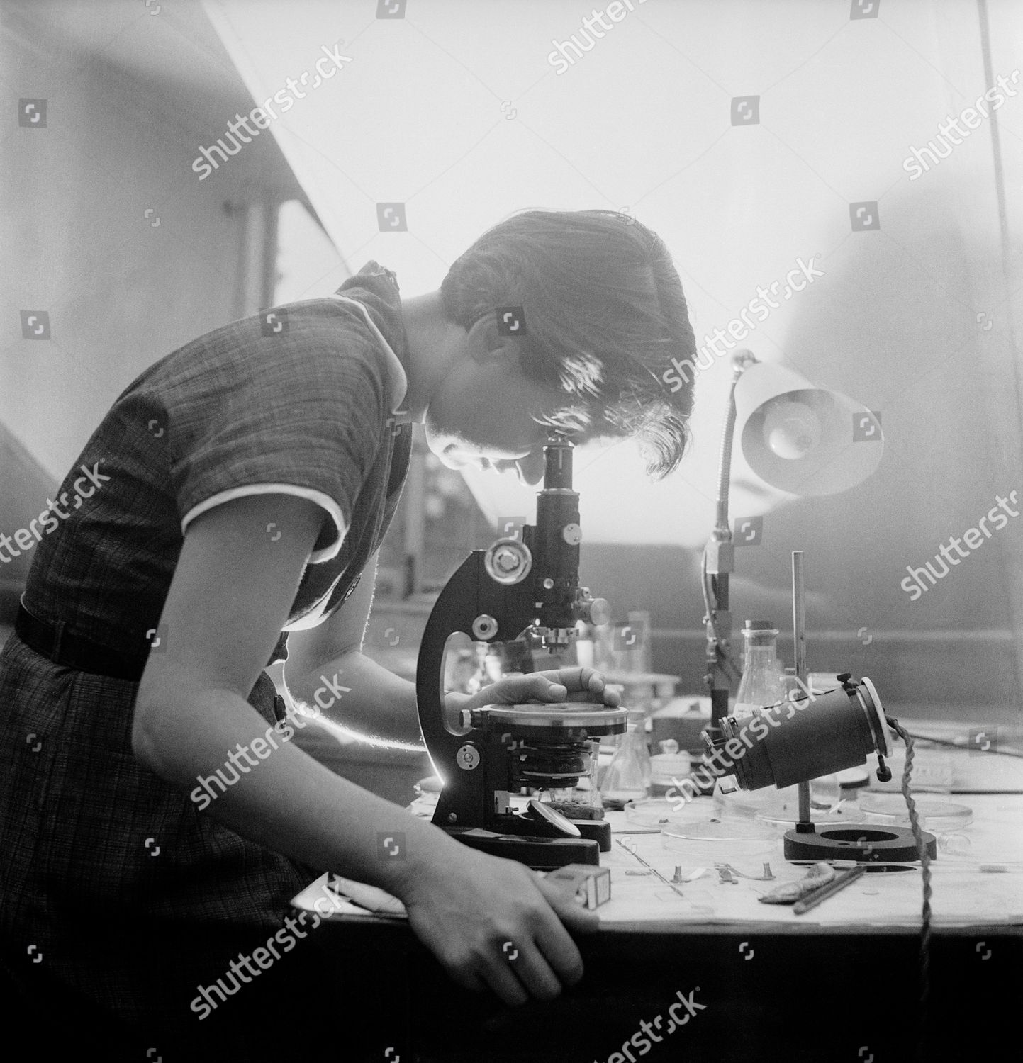 Rosalind Franklin 19201958 Biophysicist Chemist Work Editorial Stock ...