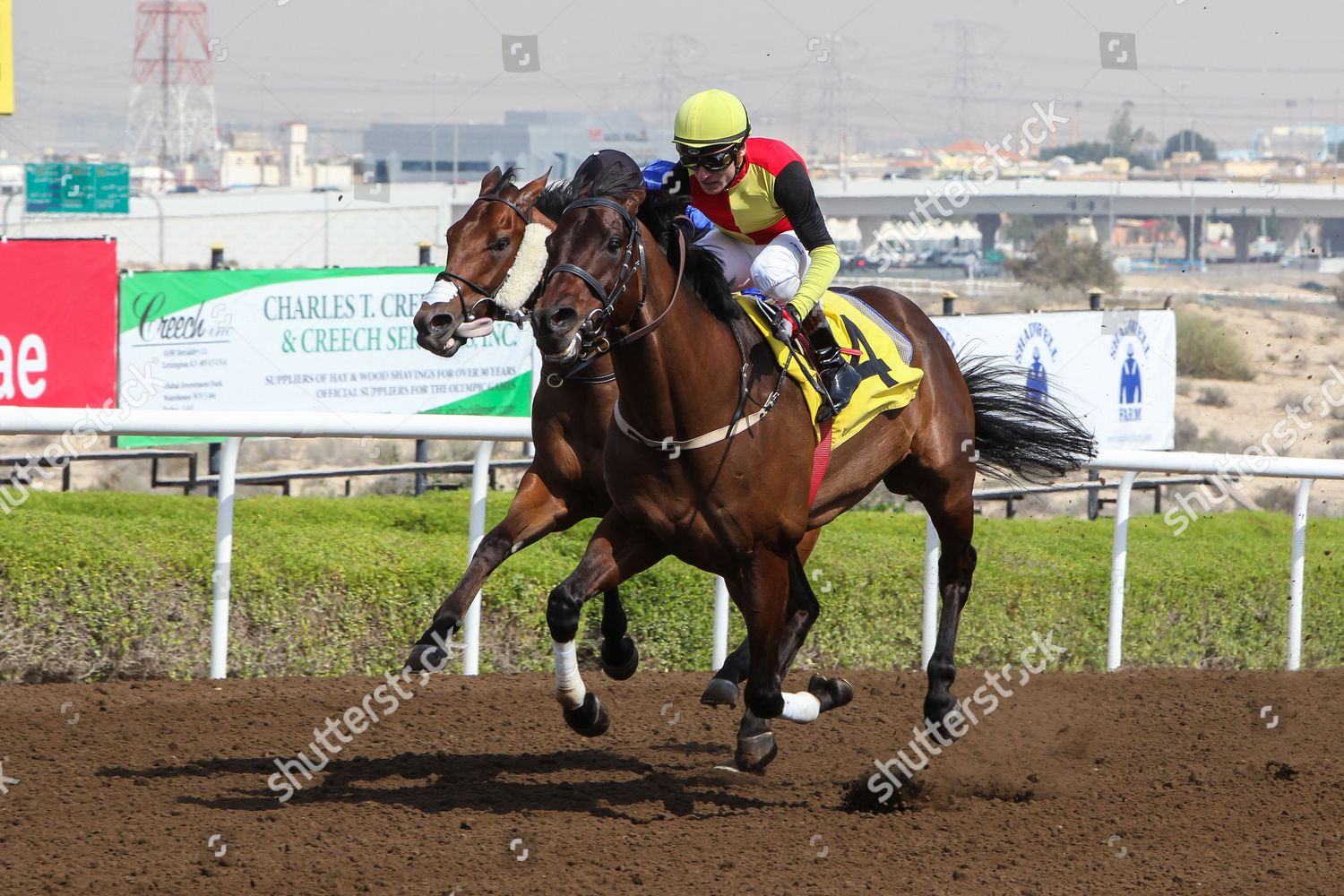 Zain Empire Gb Ridden By Ismail Editorial Stock Photo - Stock Image ...