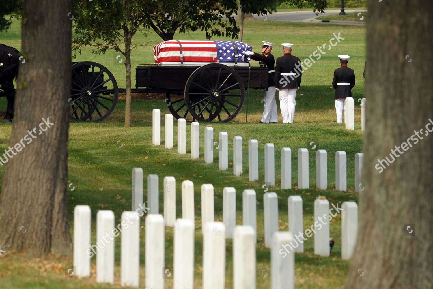 Caisson Casket Team Us Marines Proceed Editorial Stock Photo - Stock ...