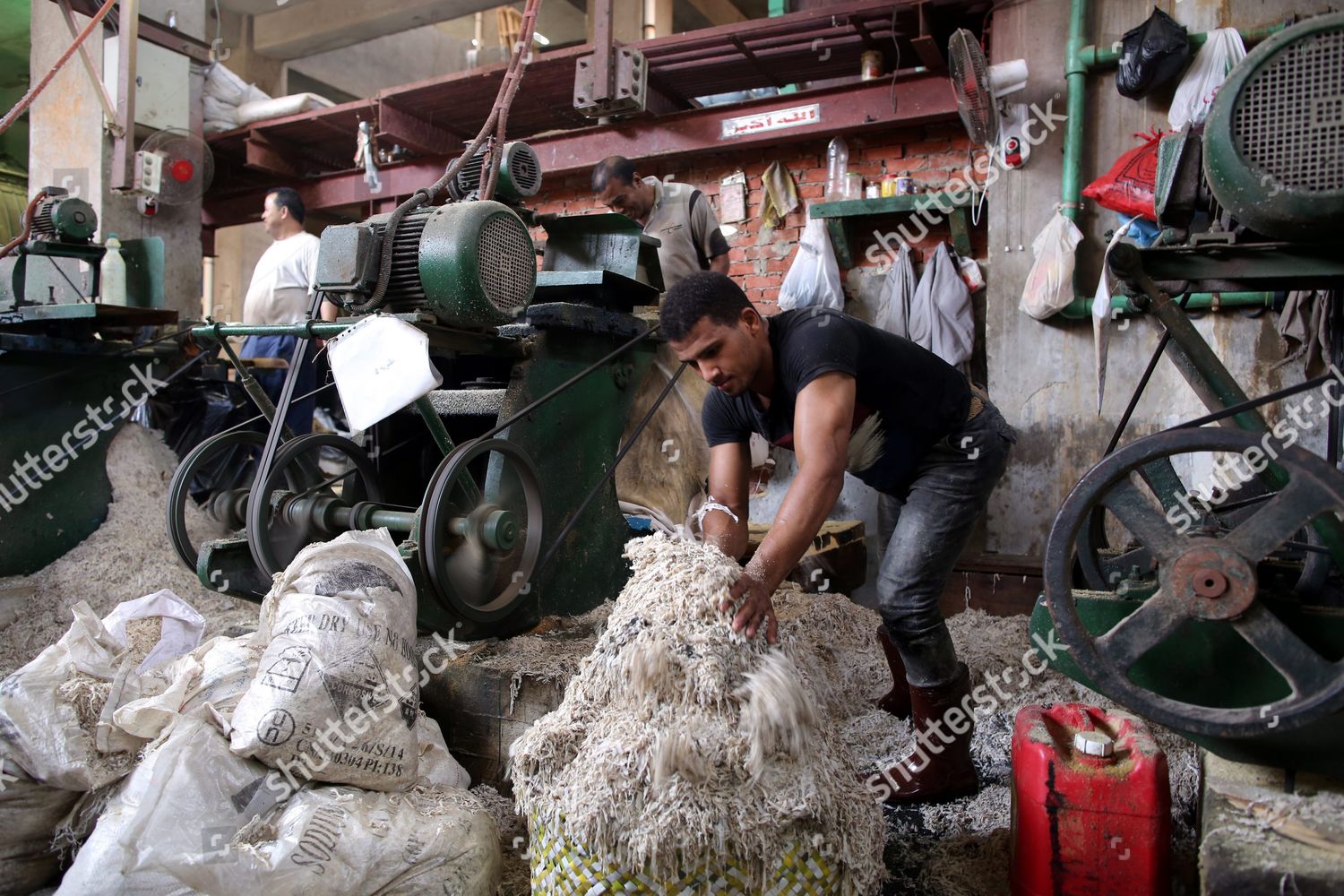 Egyptian Laborers Work Tannery Old Cairo Editorial Stock Photo - Stock ...