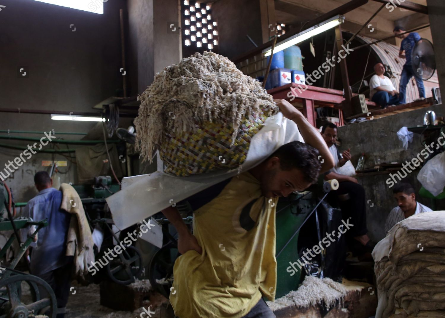 Egyptian Laborers Work Tannery Old Cairo Editorial Stock Photo - Stock ...