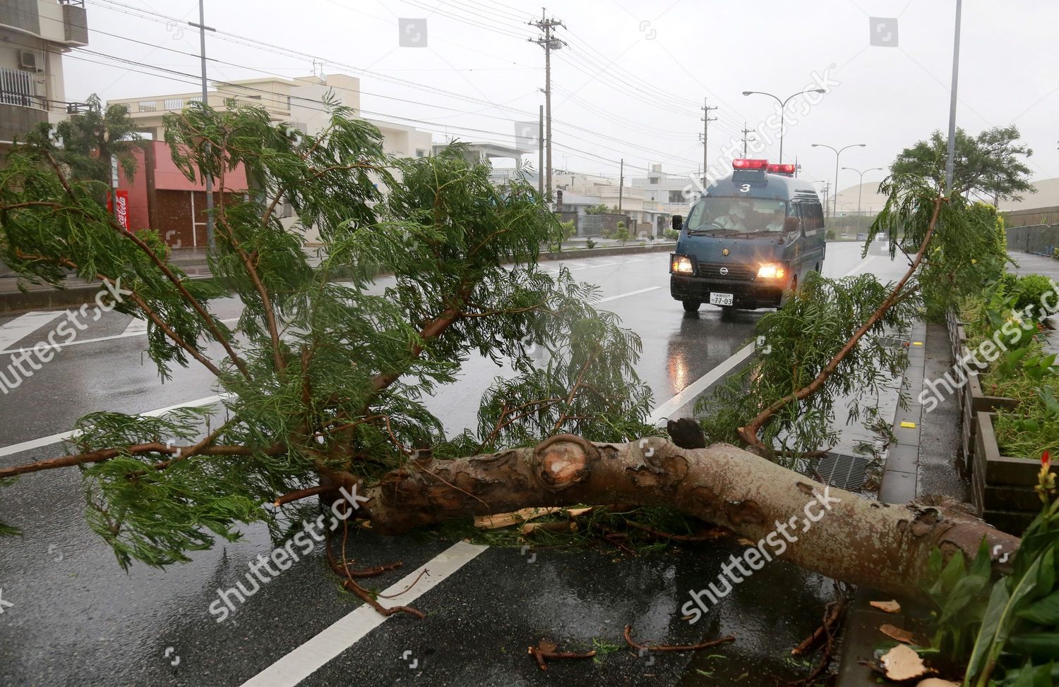 Police Car Stops Front Fallen Tree Editorial Stock Photo - Stock Image ...