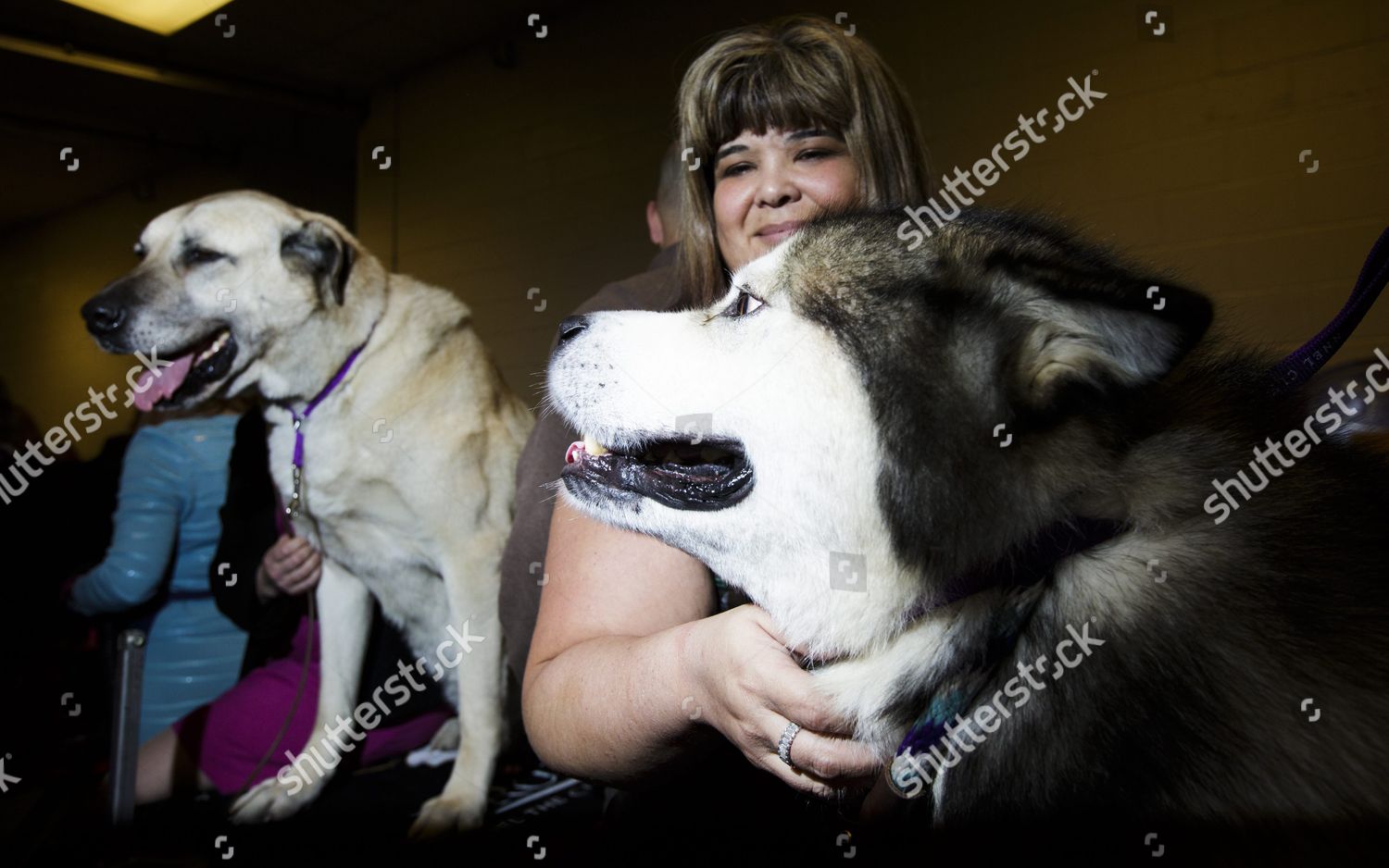 Thea Robinson Portland Oregon Pets Her Editorial Stock Photo - Stock ...