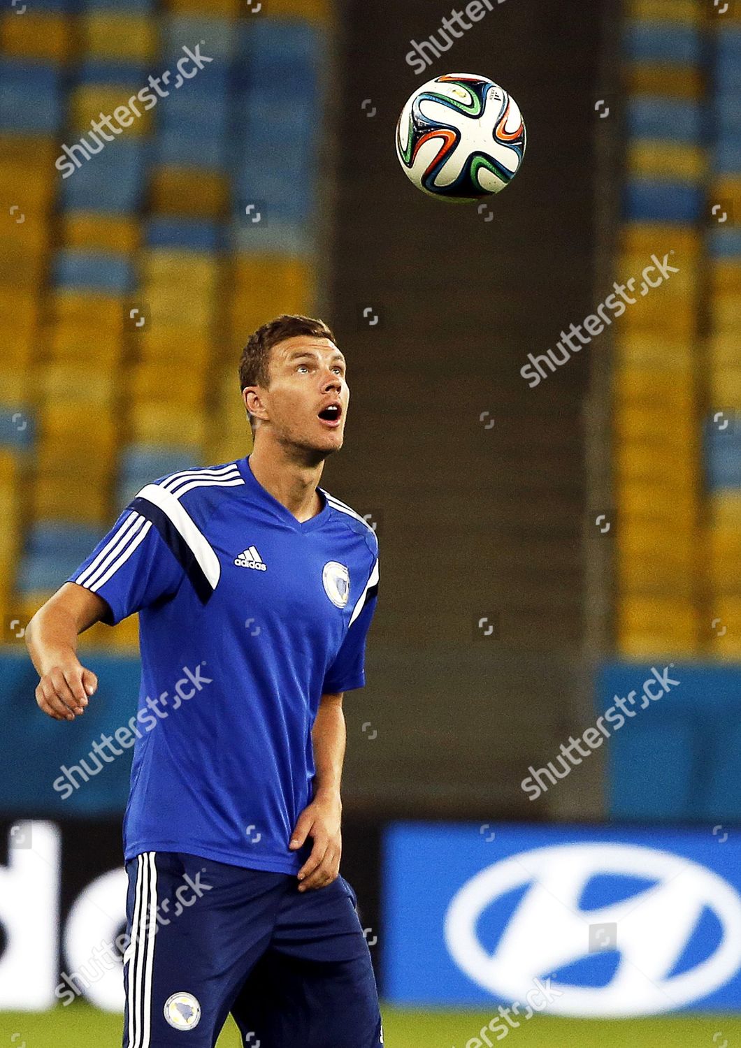 Bosnia Herzegovinas National Soccer Team Striker Editorial Stock Photo ...