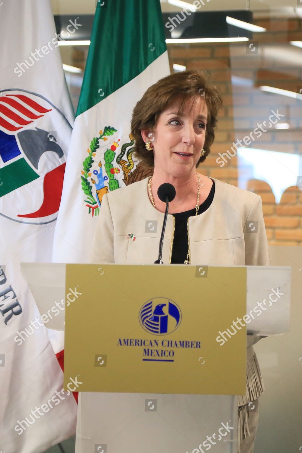 Us Ambassador Mexico Roberta S Jacobson Editorial Stock Photo - Stock ...