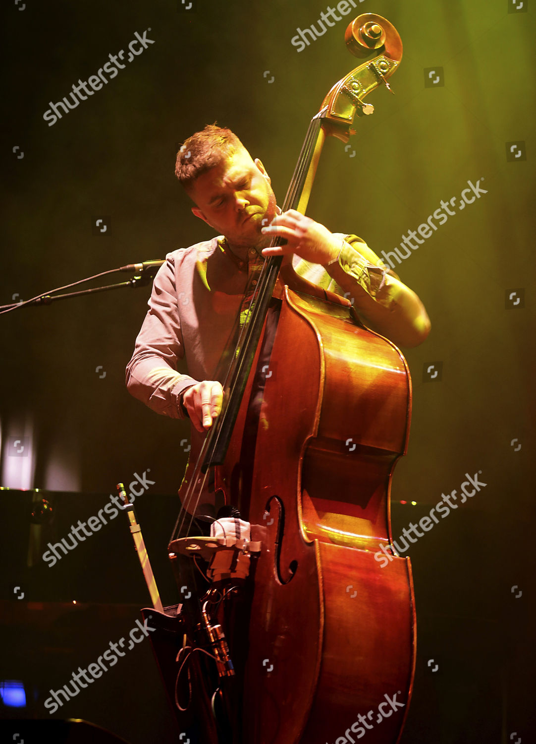 Bassist Nick Blacka British Jazz Band Editorial Stock Photo - Stock ...