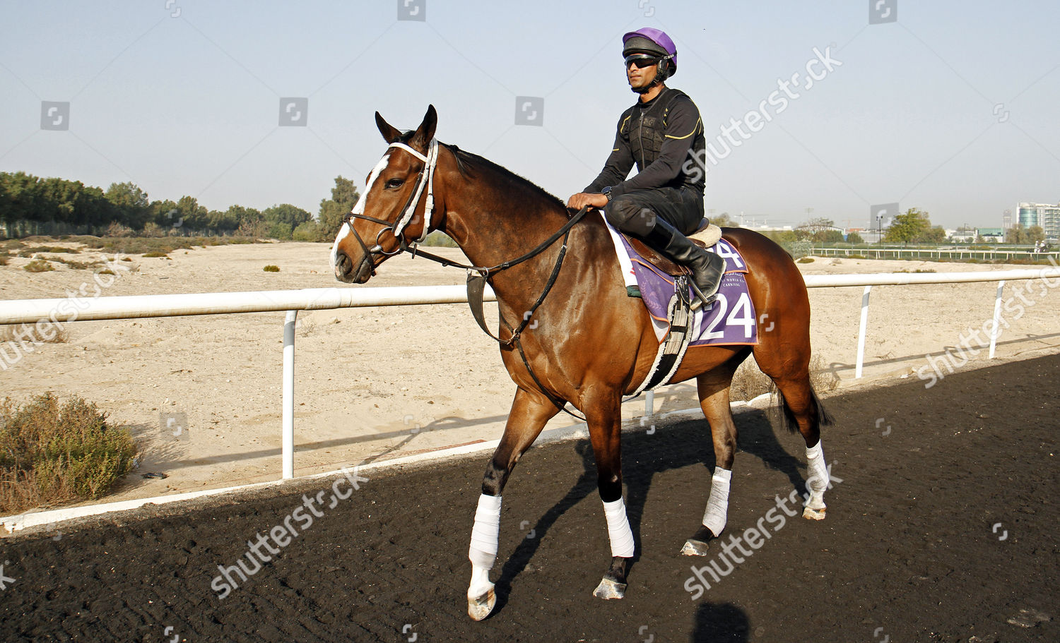 David Marnane Trained Elleval Preparing Dubai Editorial Stock Photo ...