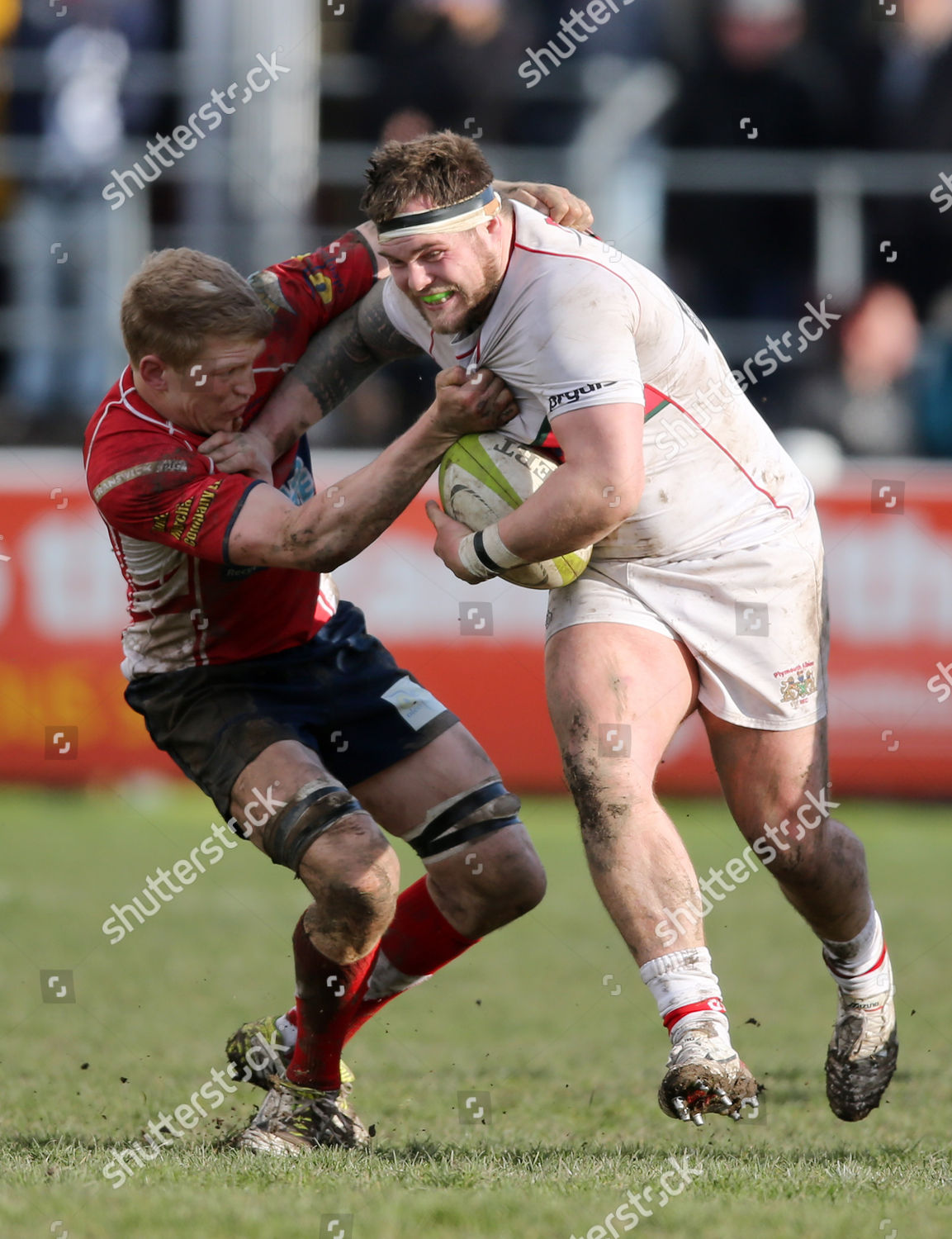 Dan Pullinger Plymouth Albion Hands Off Editorial Stock Photo - Stock ...