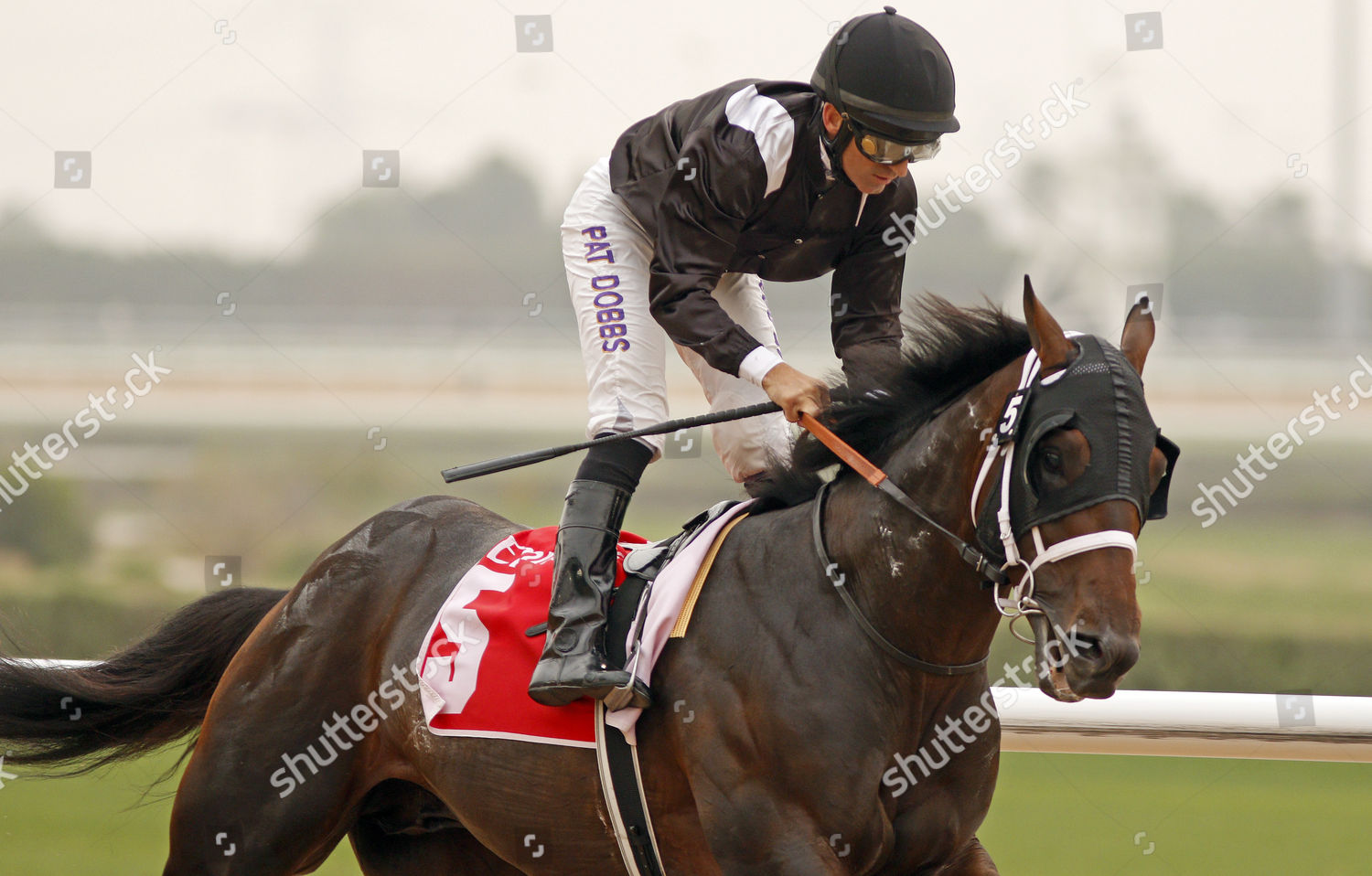 Cosmo Charlie Pat Dobbs Wins Al Editorial Stock Photo - Stock Image ...