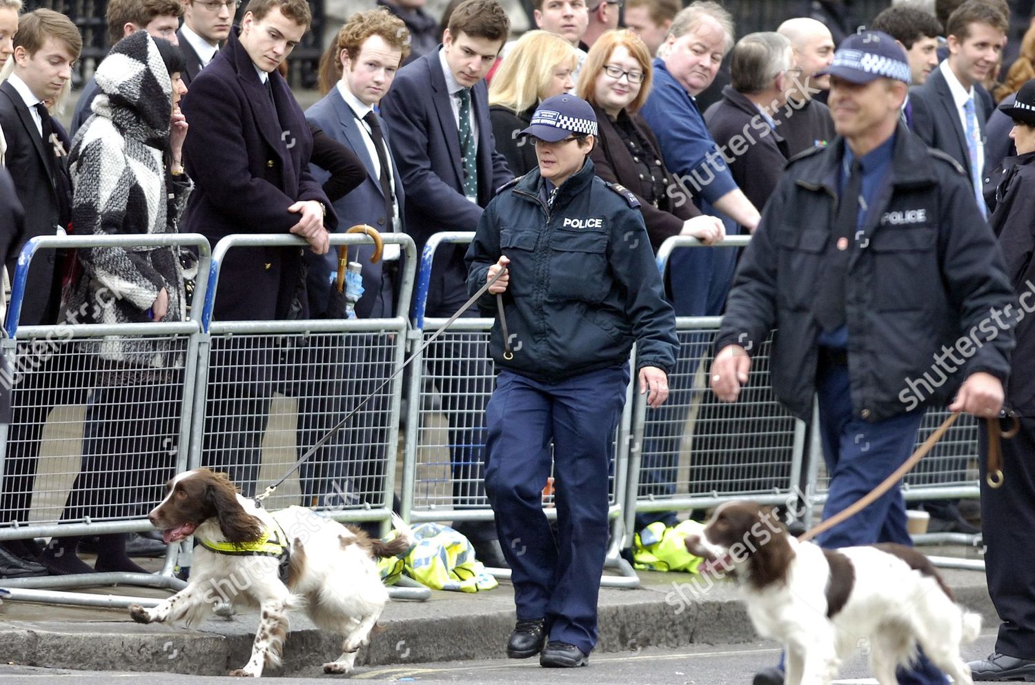 Members Metropolitan Police K9 Unit Sniff Editorial Stock Photo - Stock ...