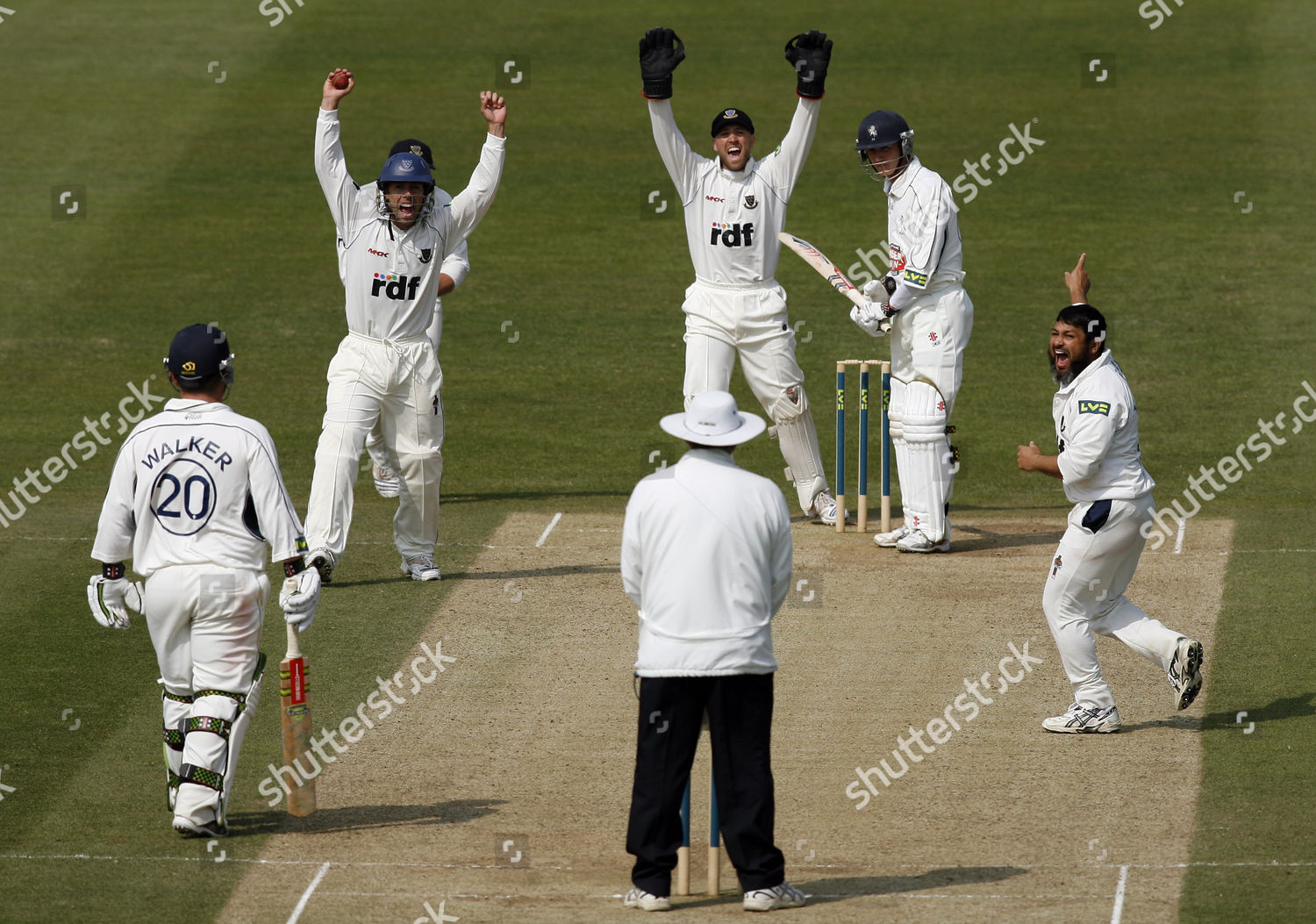 Carl Hopkinson Celebrates Catching Matthew Walker Editorial Stock Photo ...