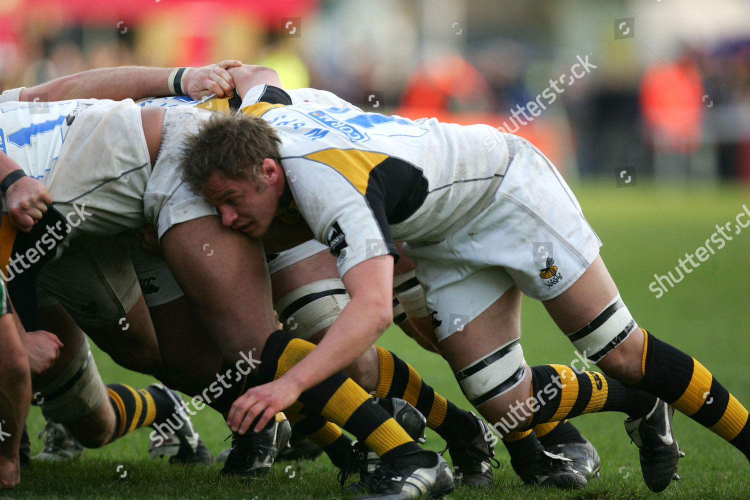 John Hart Wasps Editorial Stock Photo - Stock Image | Shutterstock