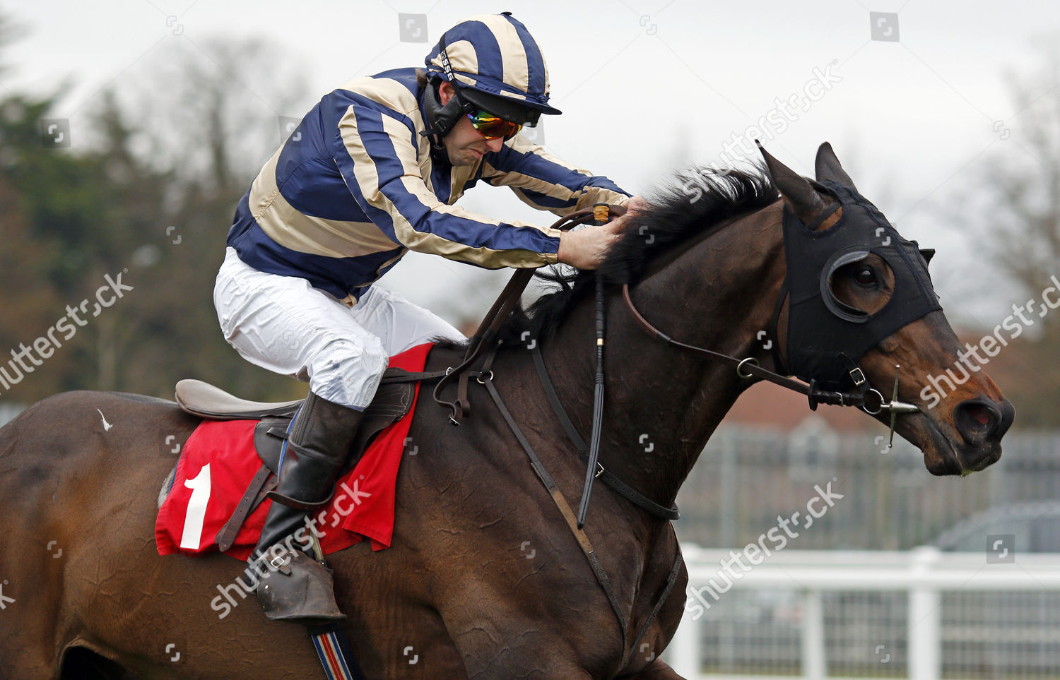 Rathlin Rose Captain Guy Disney Wins Editorial Stock Photo - Stock ...