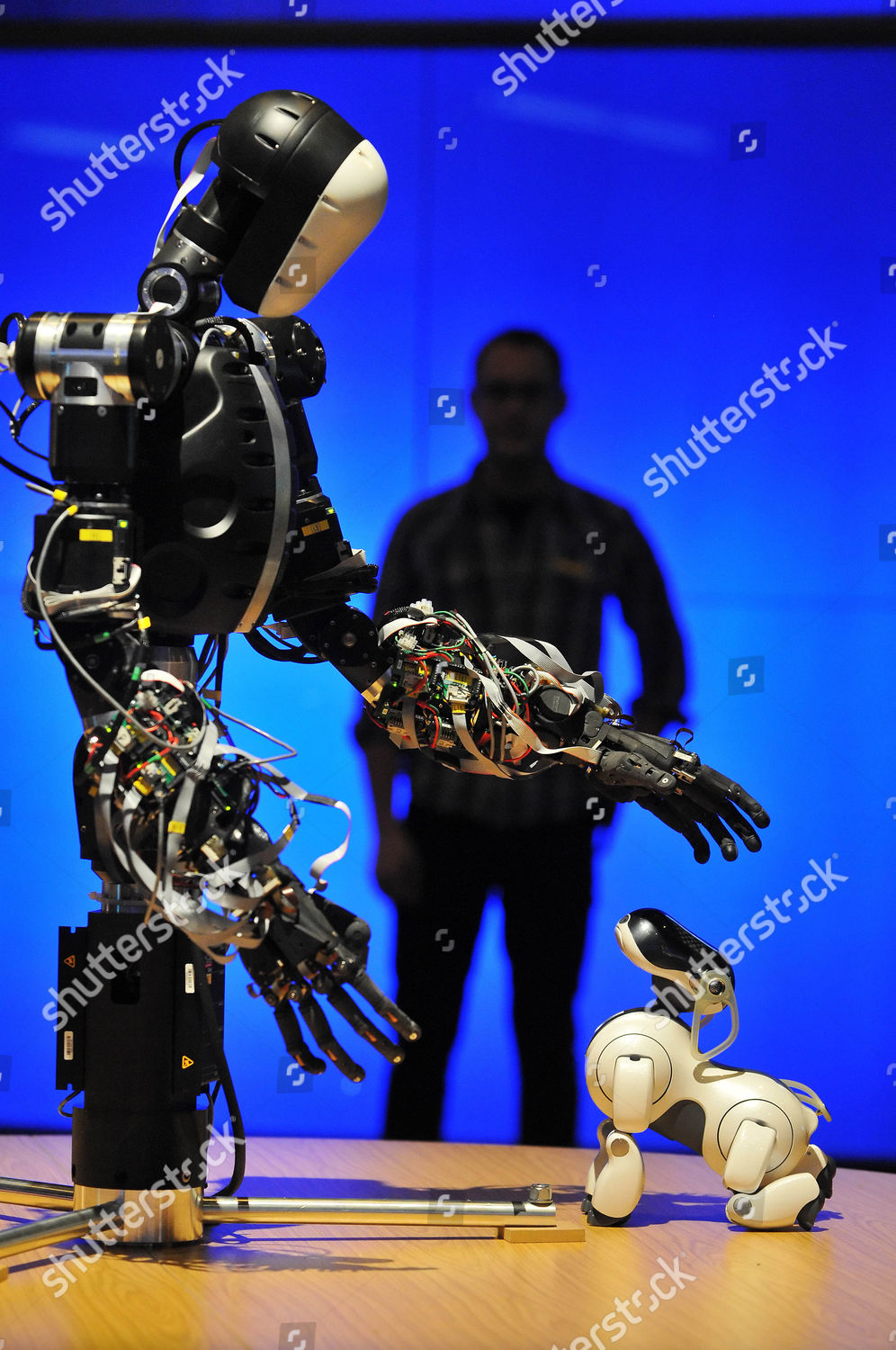 Berti Life Size Humanoid Robot Playing Editorial Stock Photo - Stock ...