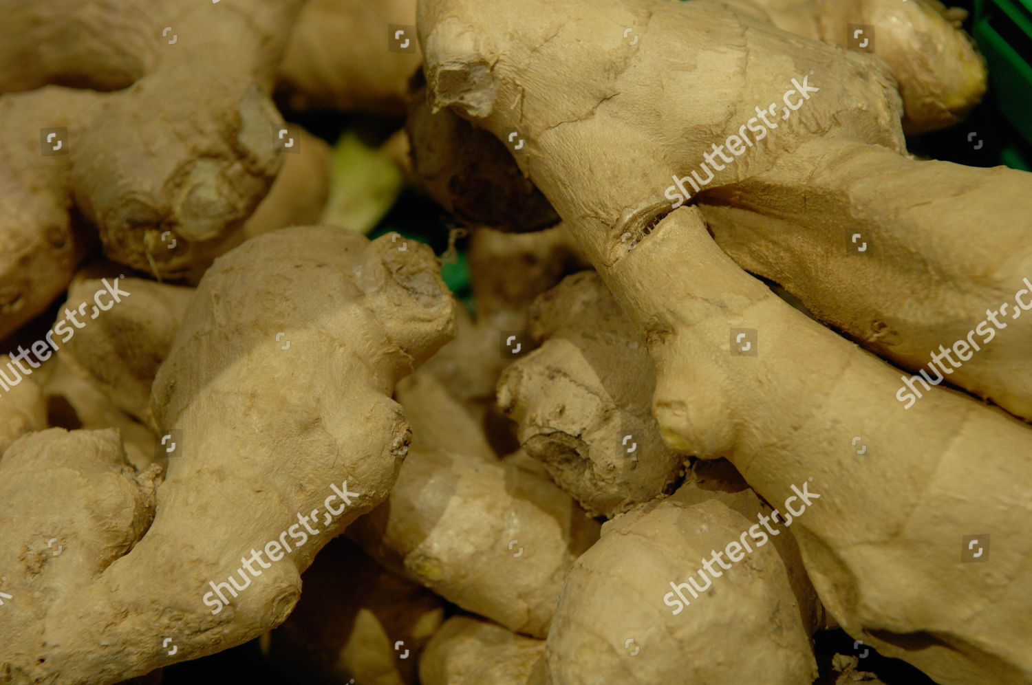 Gingervegetable Editorial Stock Photo - Stock Image | Shutterstock