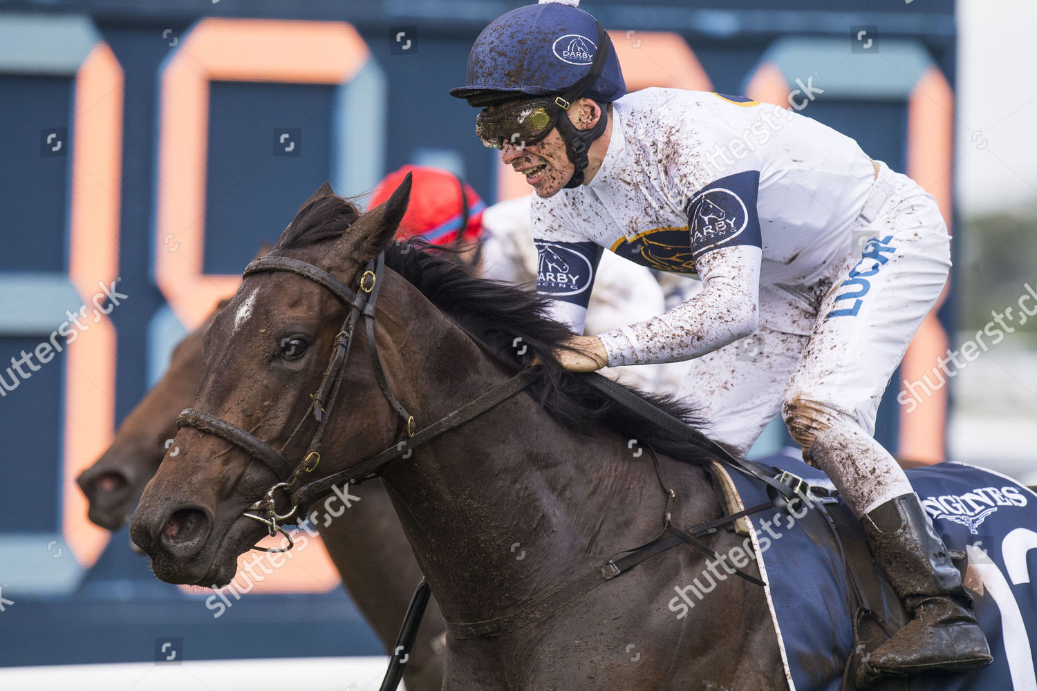 She Will Reign Manhattan Rain Courgette Editorial Stock Photo - Stock Image | Shutterstock