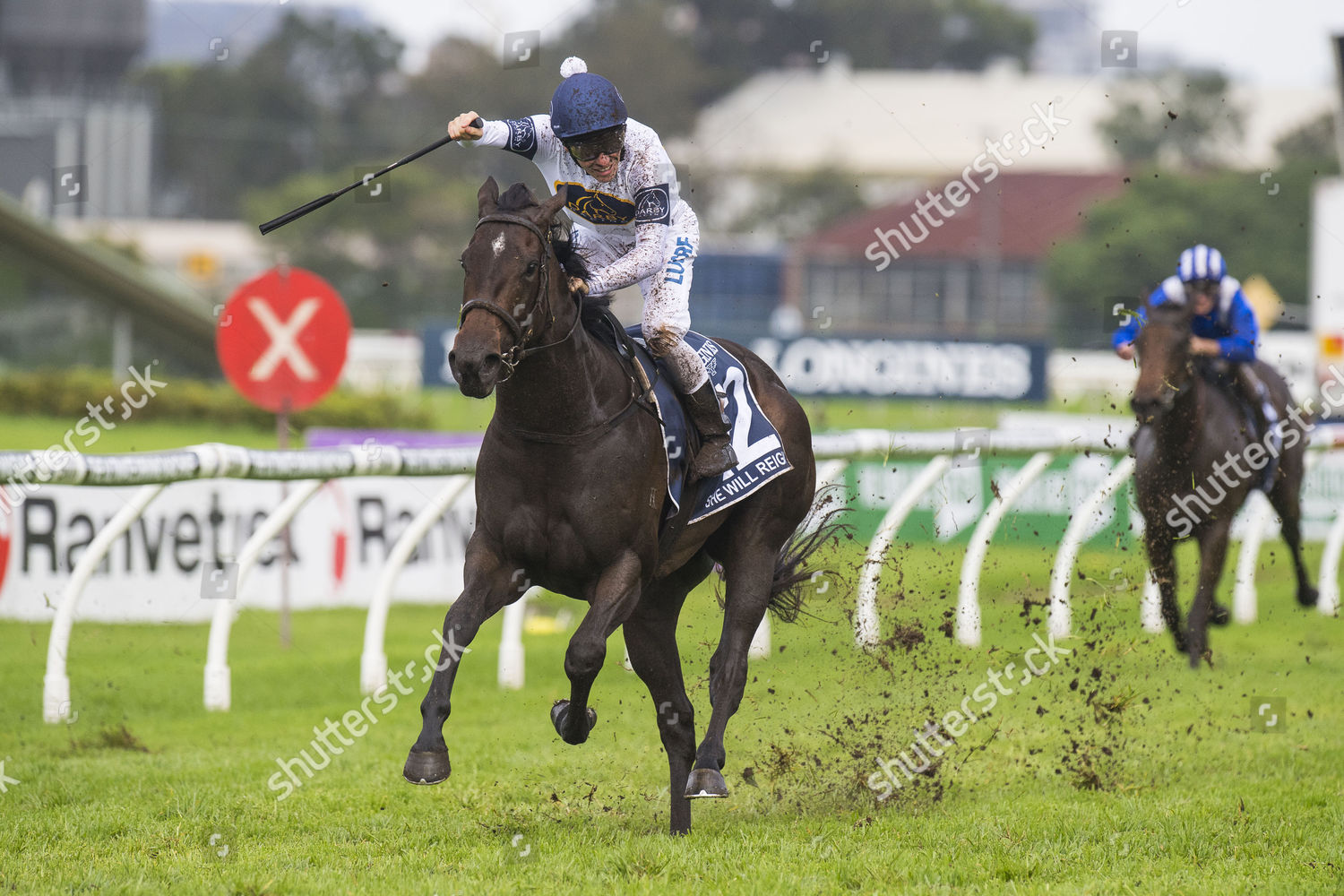She Will Reign Manhattan Rain Courgette Editorial Stock Photo - Stock Image | Shutterstock