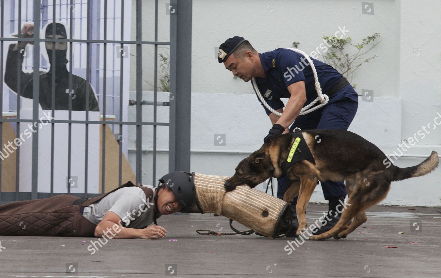Prison Guard R Dog Takes Down Editorial Stock Photo - Stock Image ...