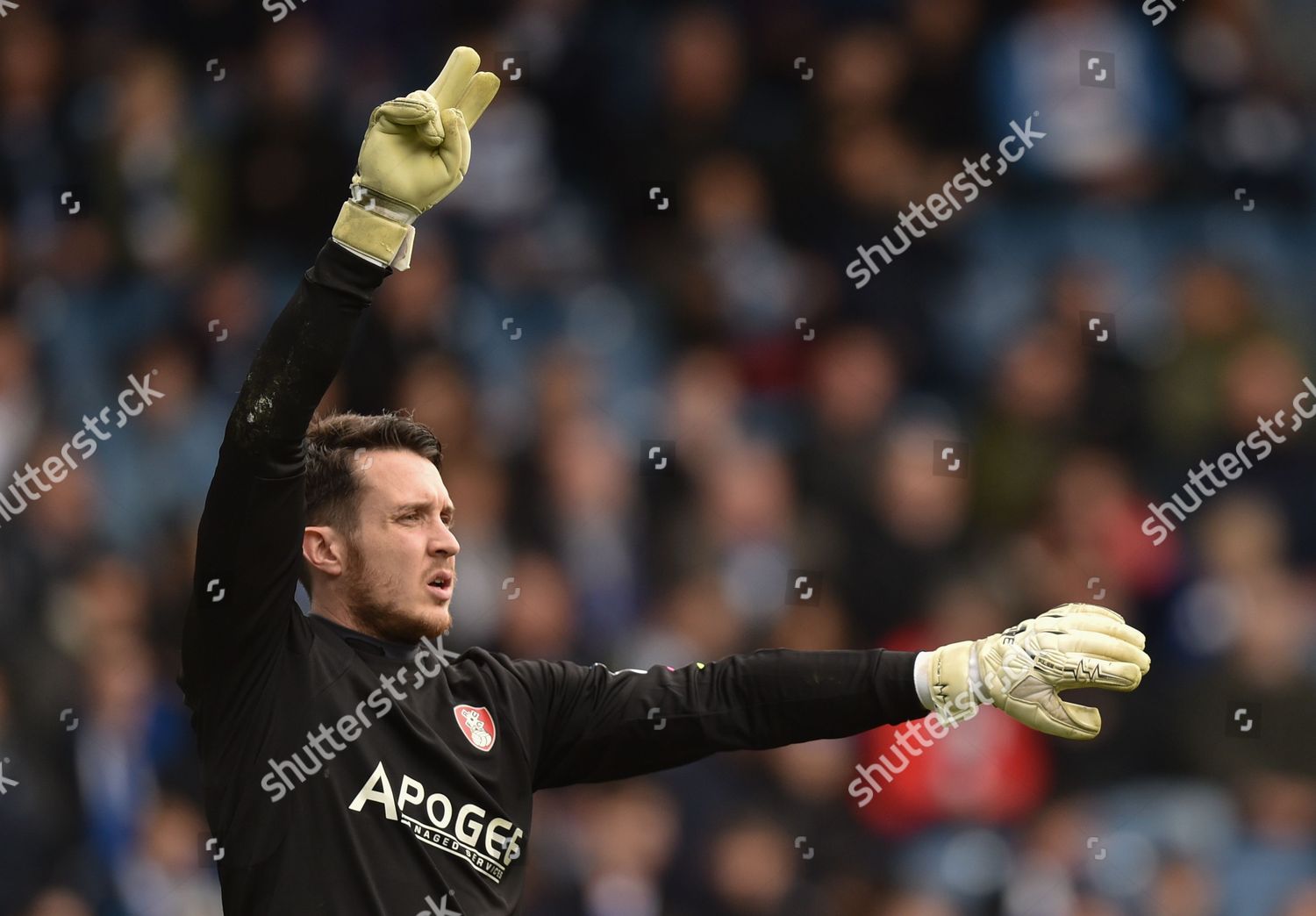 Rotherham United Goalkeeper Lewis Price During Editorial Stock Photo ...