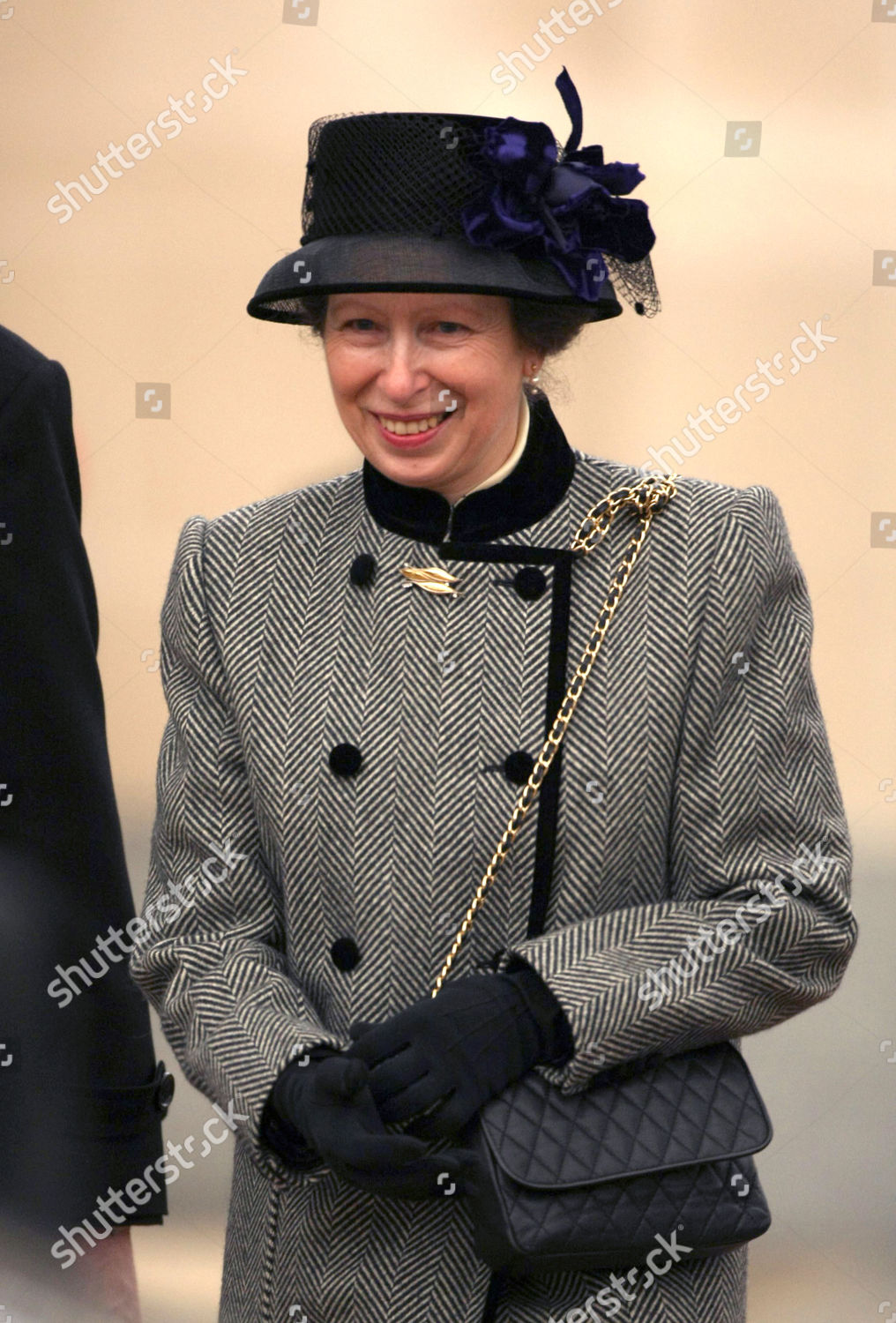 Princess Anne Editorial Stock Photo - Stock Image | Shutterstock